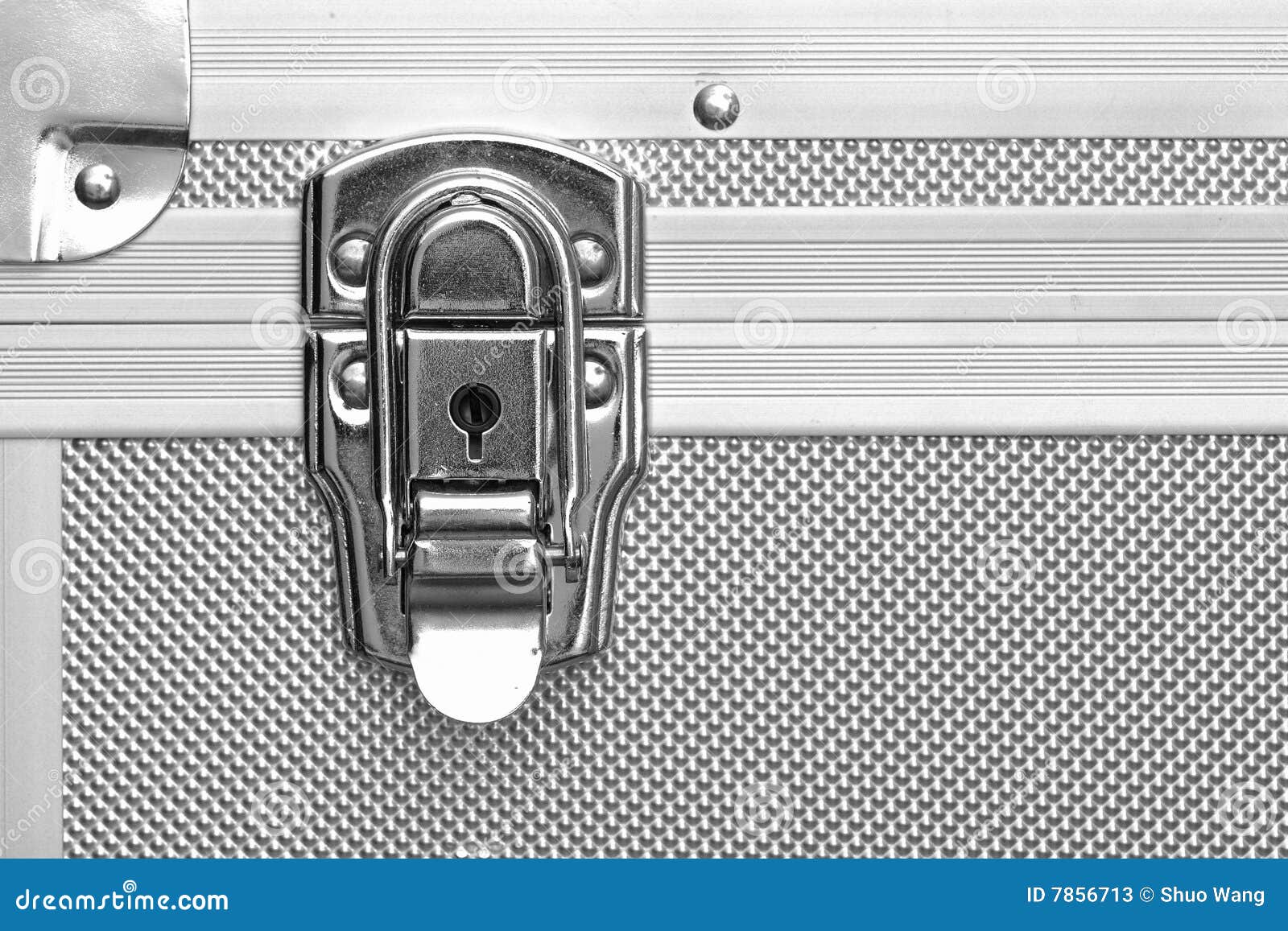 Lock of metal case stock image. Image of hidden, container - 7856713