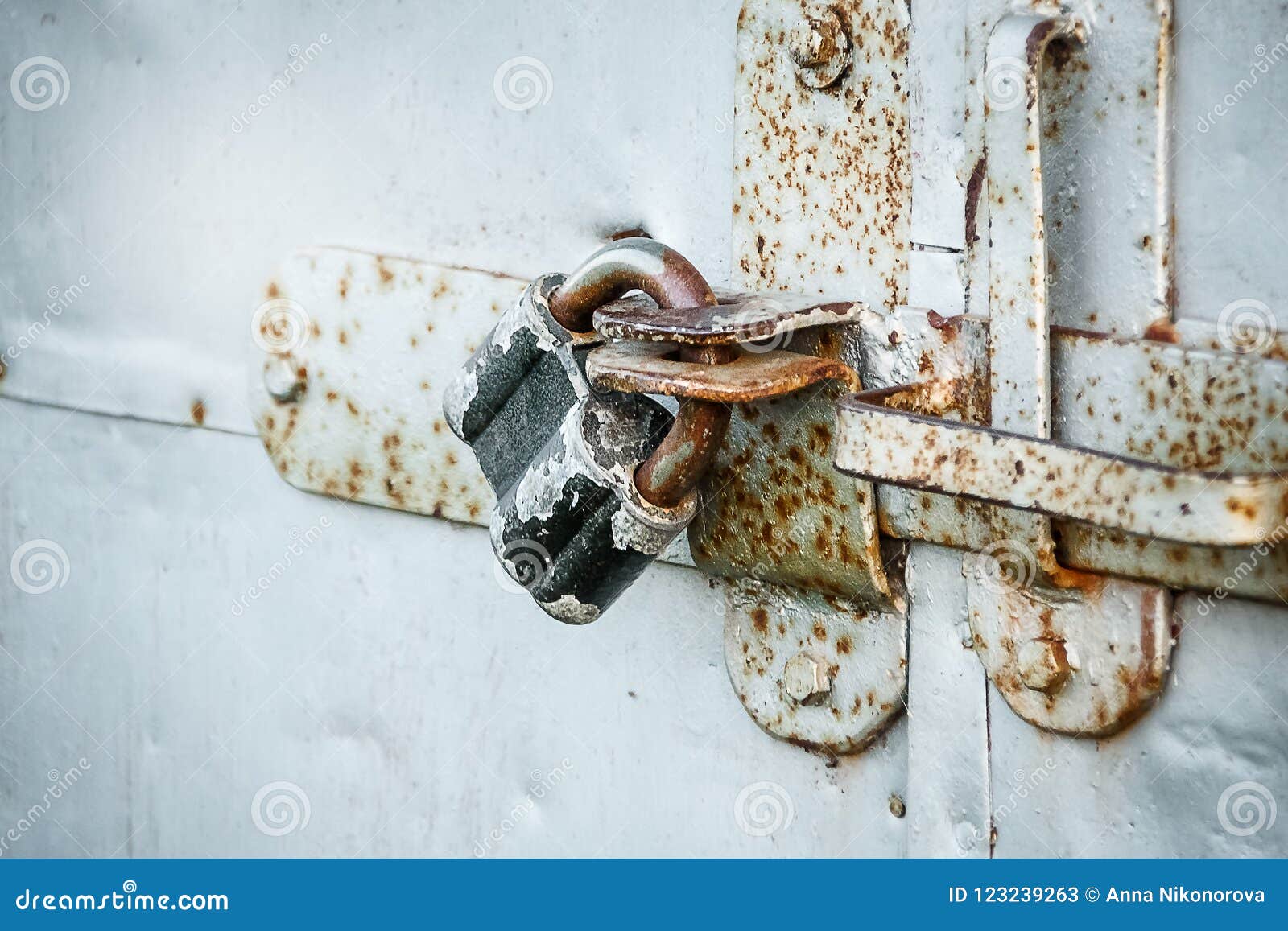 Lock on a Metal Door, the Concept of Protection and Security Stock ...