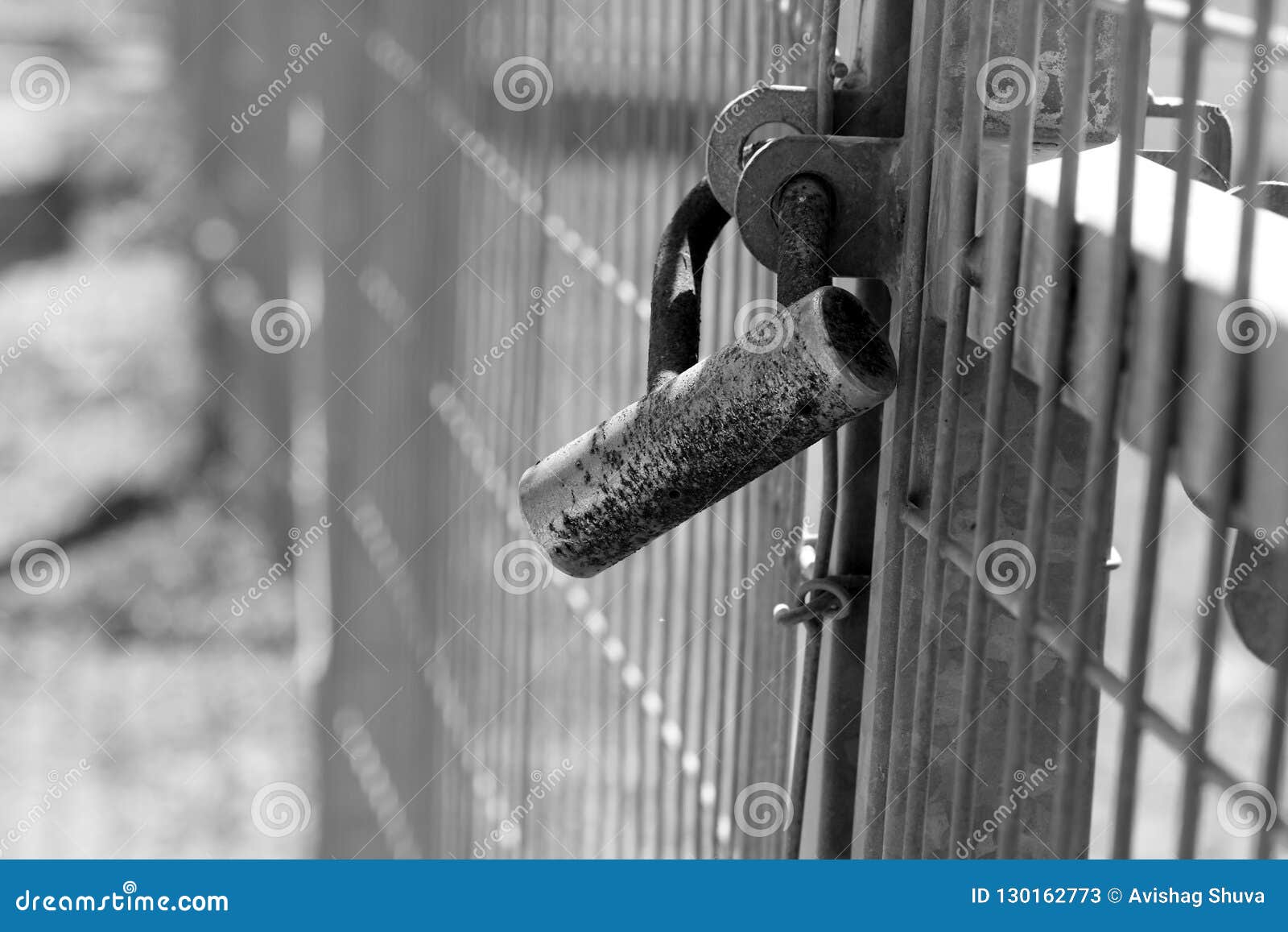 A Lock on a Metal Gate in the Fence Stock Image - Image of gates, safe ...