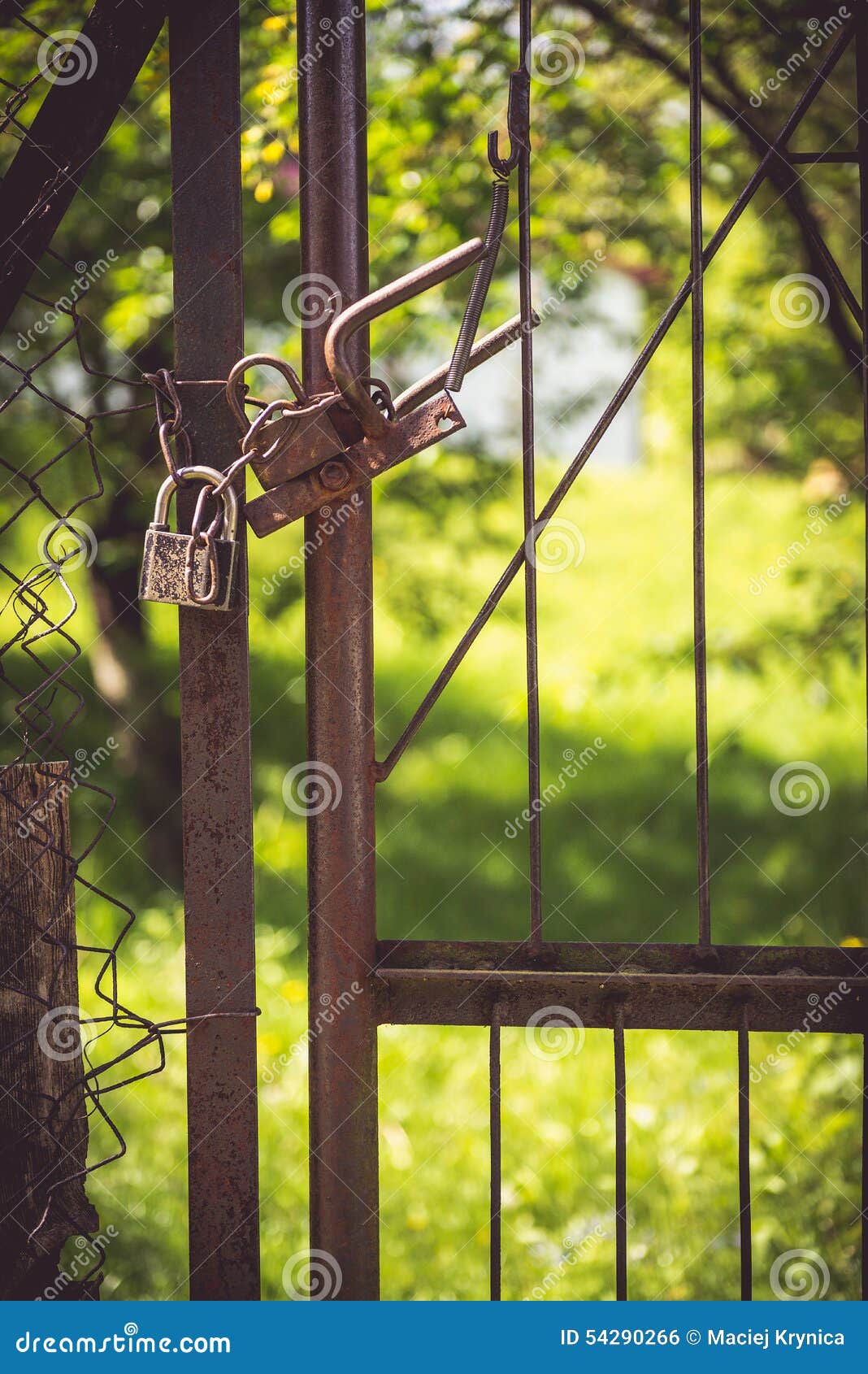 Lock on the metal gate stock photo. Image of object, internet - 54290266