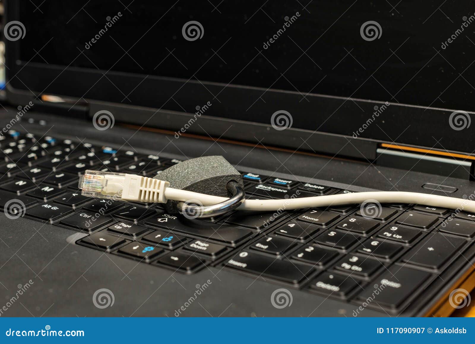 Lock and Network Cable As Symbol for Privacy and General Data Pr Stock ...