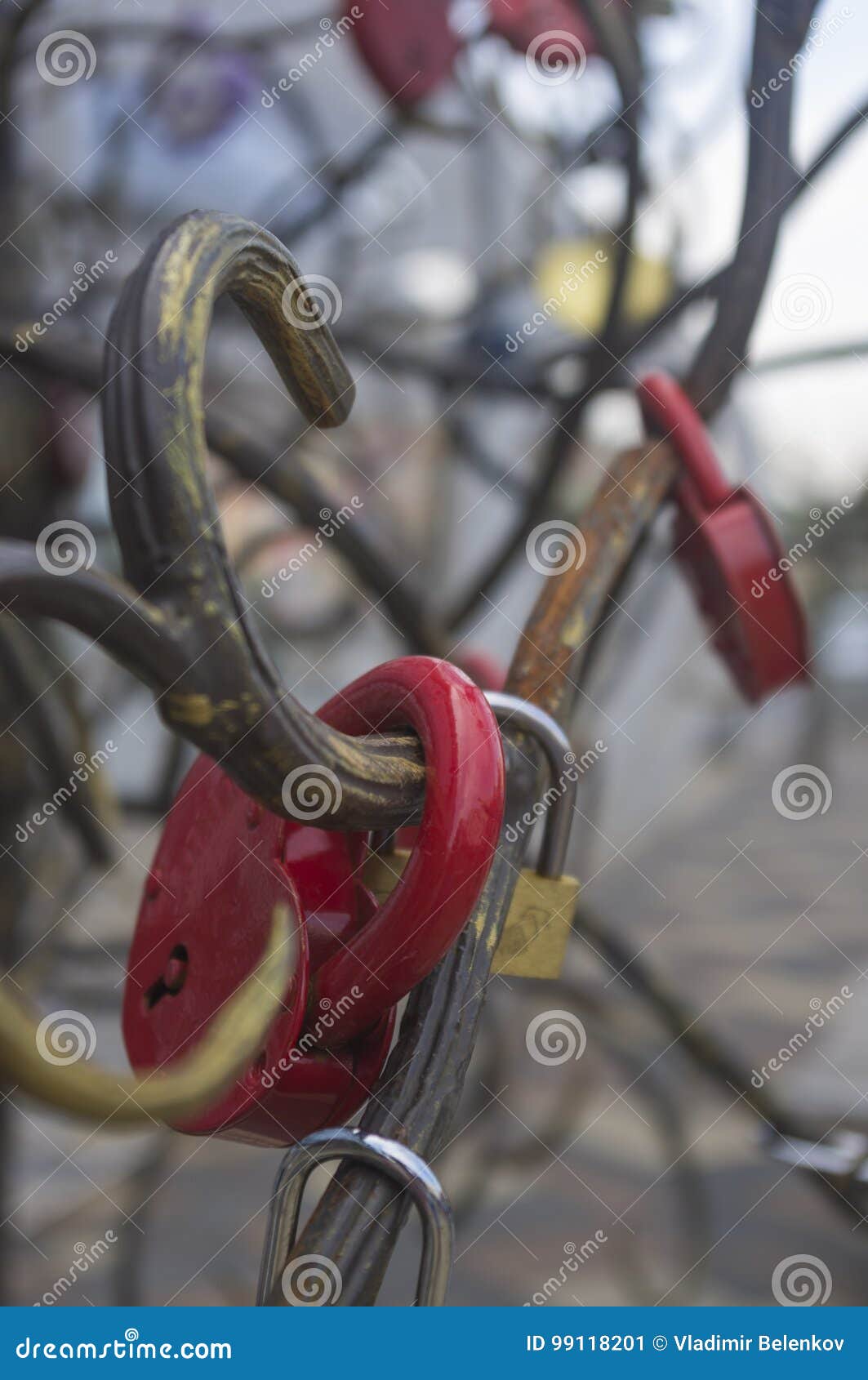 The Lock on a Tree of Love for Family Happiness Stock Image - Image of ...