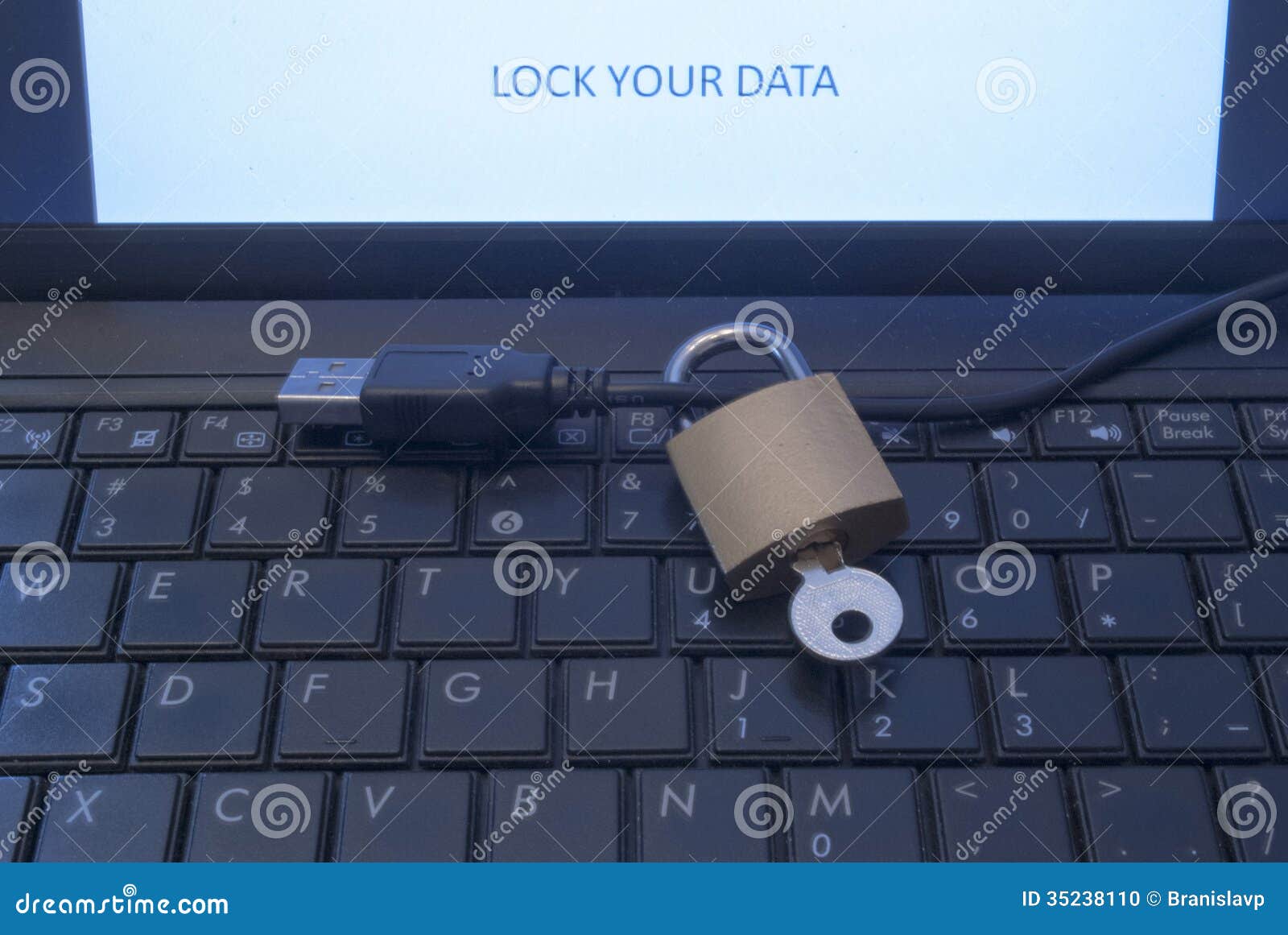 Lock your data stock photo. Image of data, firewall, concepts - 35238110