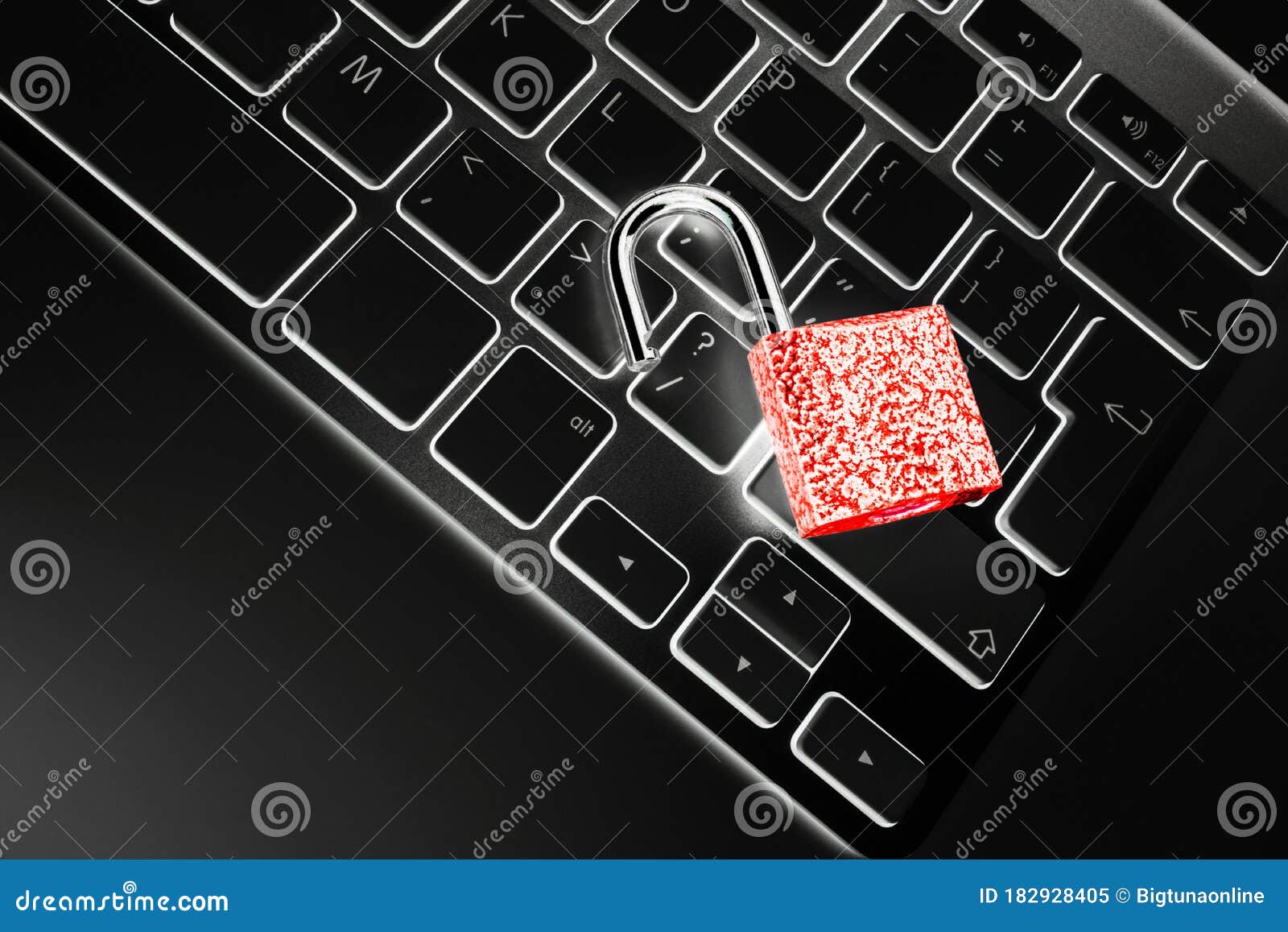 Locked Computer Safe from Virus or Malware Attack. Laptop Computer ...