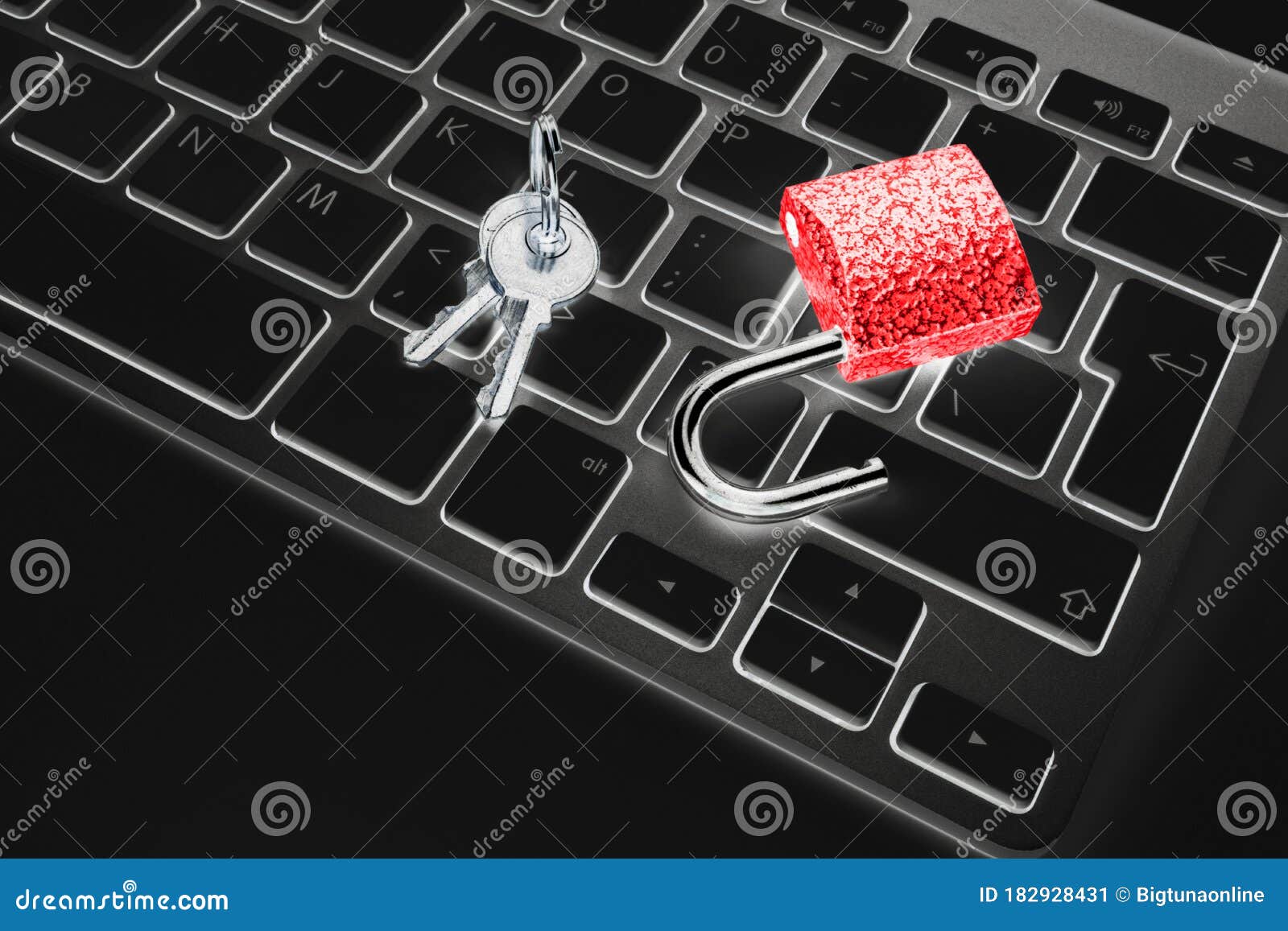 Locked Computer Safe from Virus or Malware Attack. Laptop Computer ...