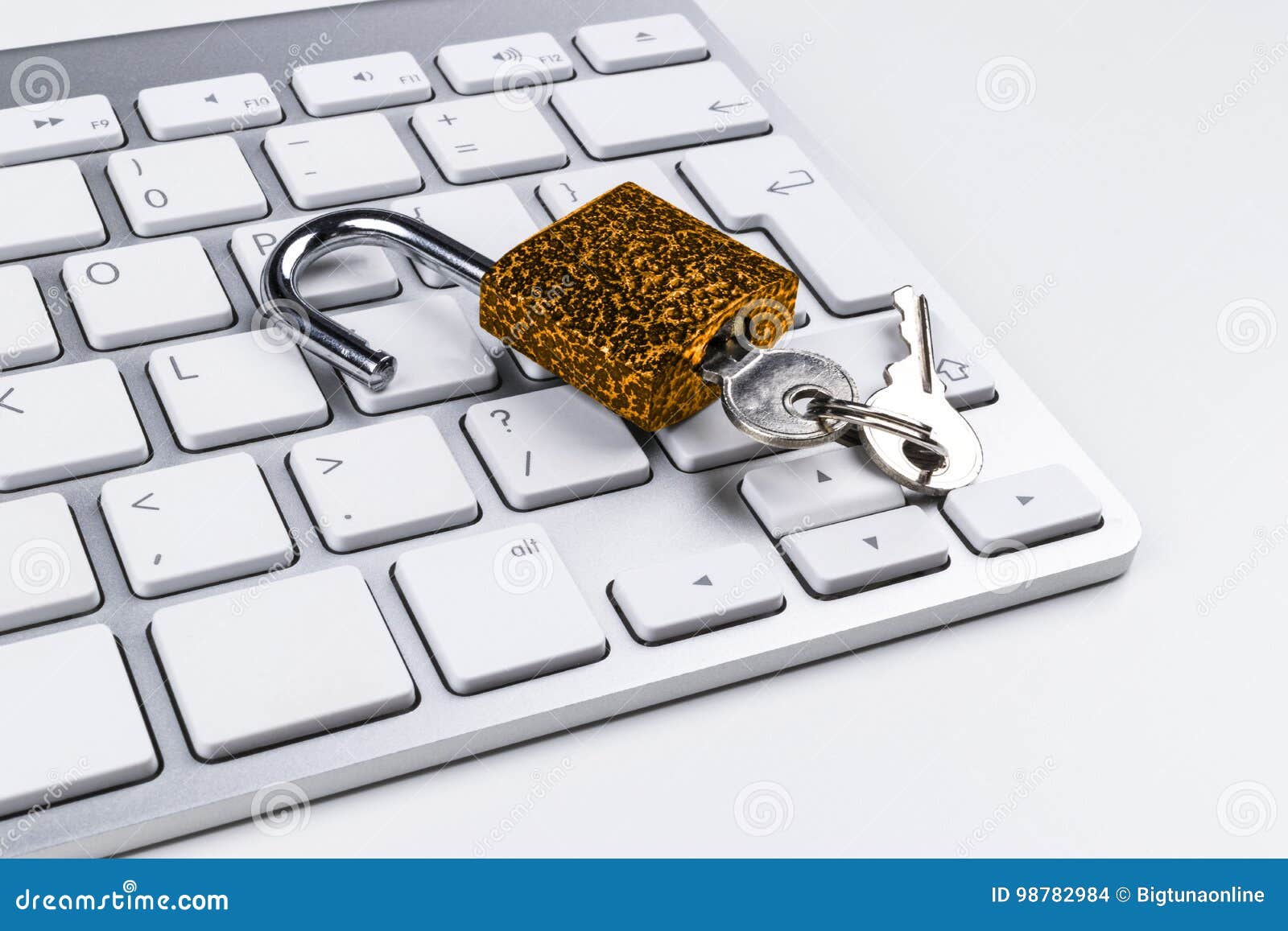 Locked Computer Safe from Virus or Malware Attack. Laptop Computer ...