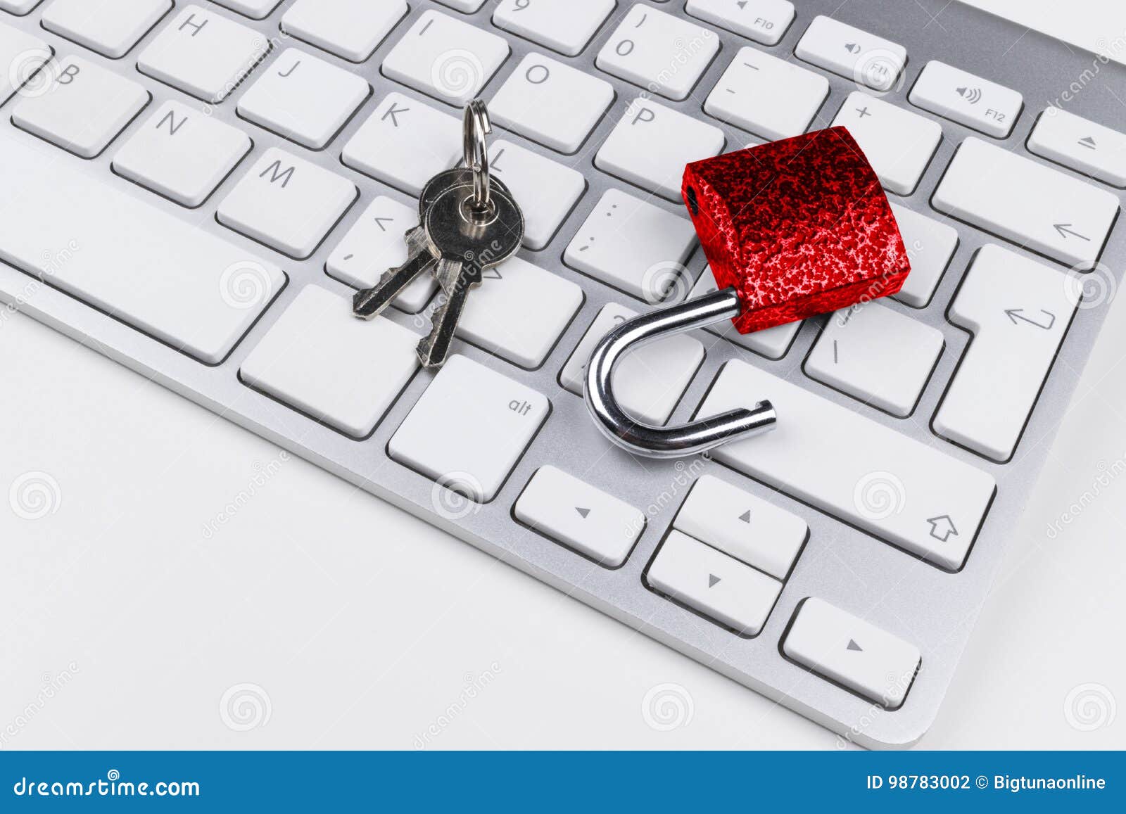 Locked Computer Safe from Virus or Malware Attack. Laptop Computer ...