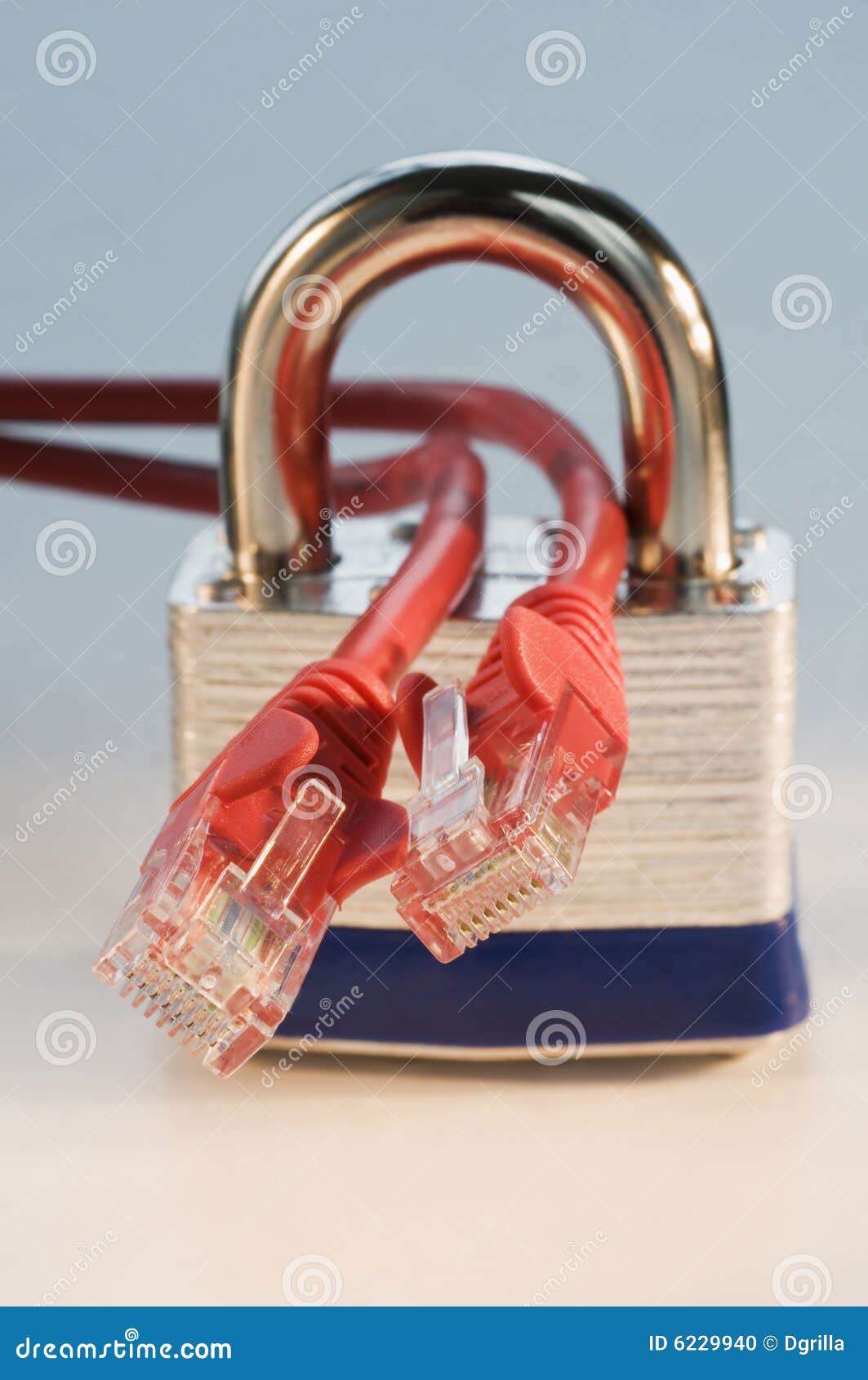 Locked ethernet cords stock photo. Image of business, industry - 6229940
