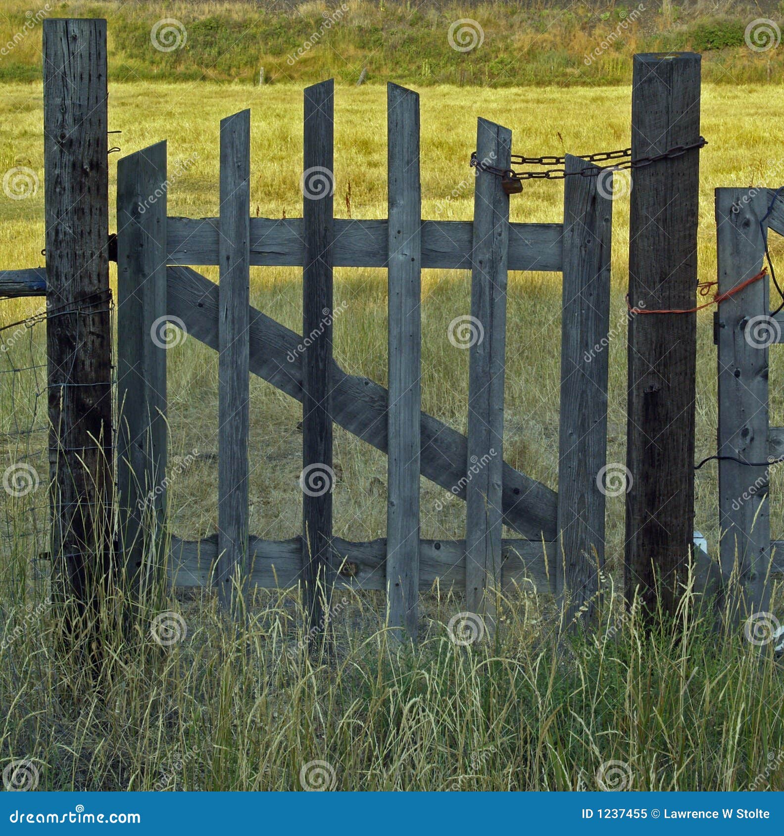Locked Gate stock image. Image of lock, closed, locked - 1237455