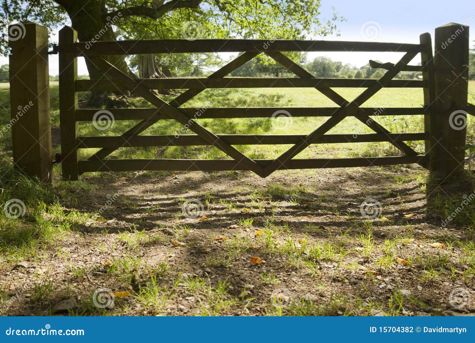 Locked gate stock photo. Image of grass, close, closed - 15704382