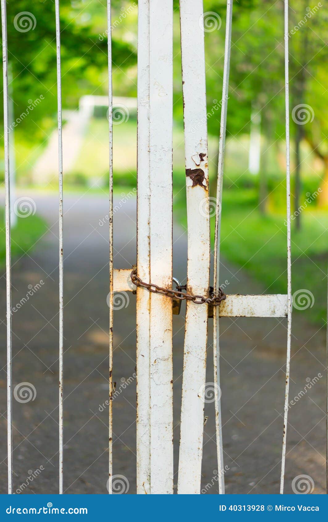 Locked gate stock photo. Image of white, safety, security - 40313928