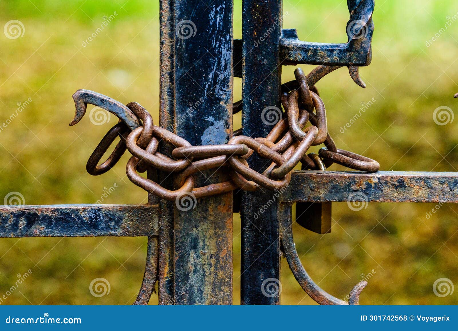Locked Gate by Metal Chain and Padlock Stock Photo - Image of garden ...