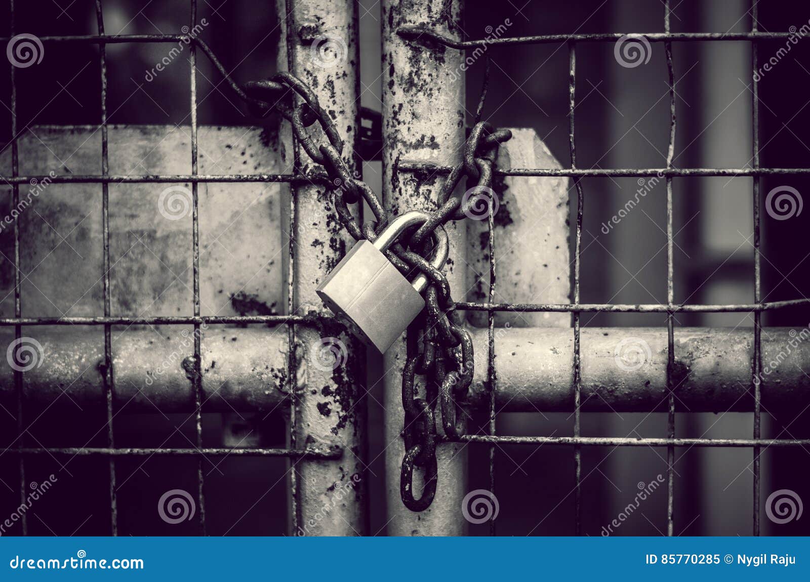 Locked gate stock image. Image of forbidden, doors, abandoned - 85770285