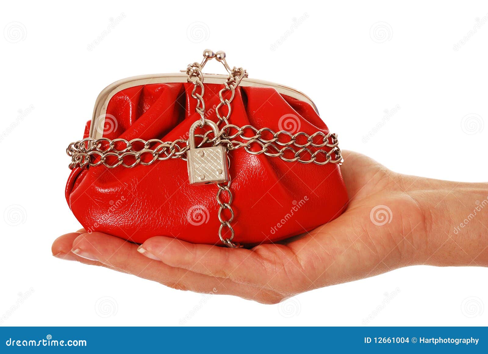 Locked purse stock photo. Image of save, cash, financial - 12661004