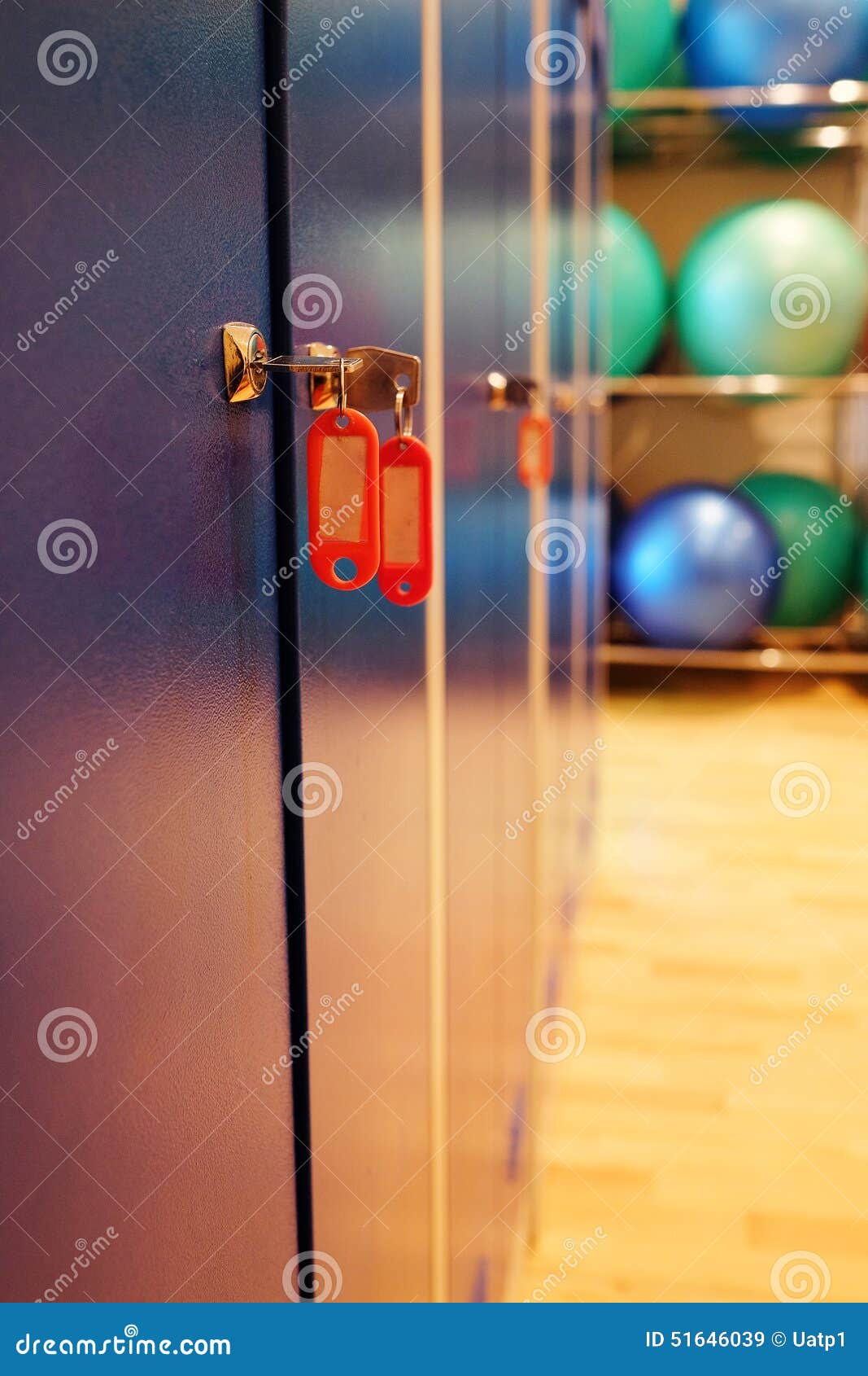 Locker room doors stock image. Image of cloakroom, closed - 51646039