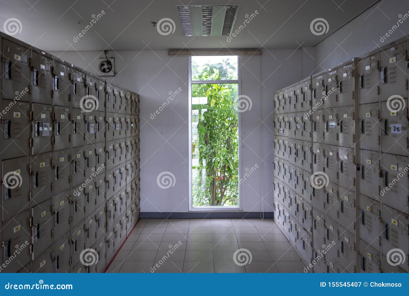 The locker used stock image. Image of closed, fitness - 155545407