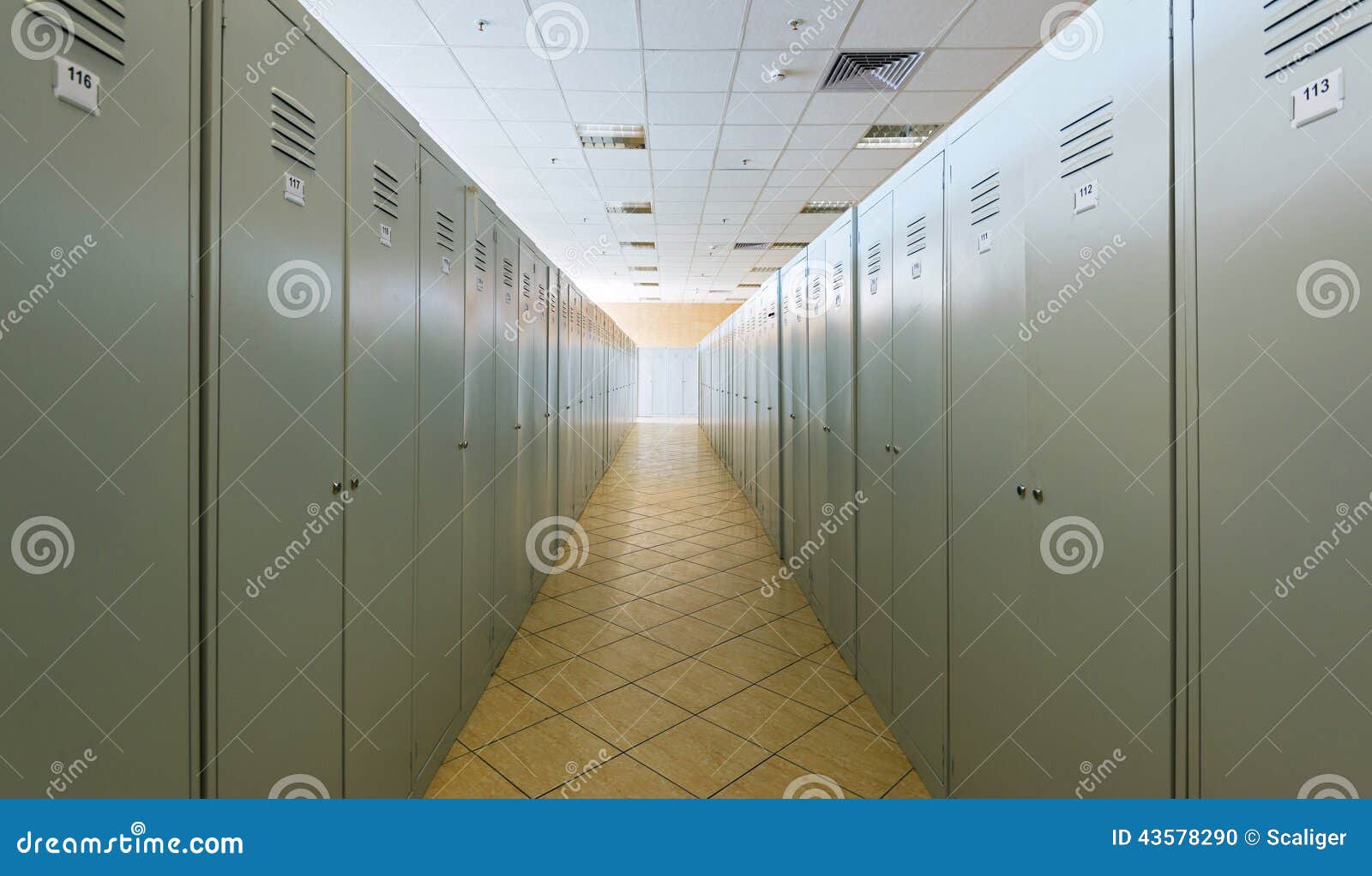 Lockers in a dressing room stock photo. Image of bench - 43578290