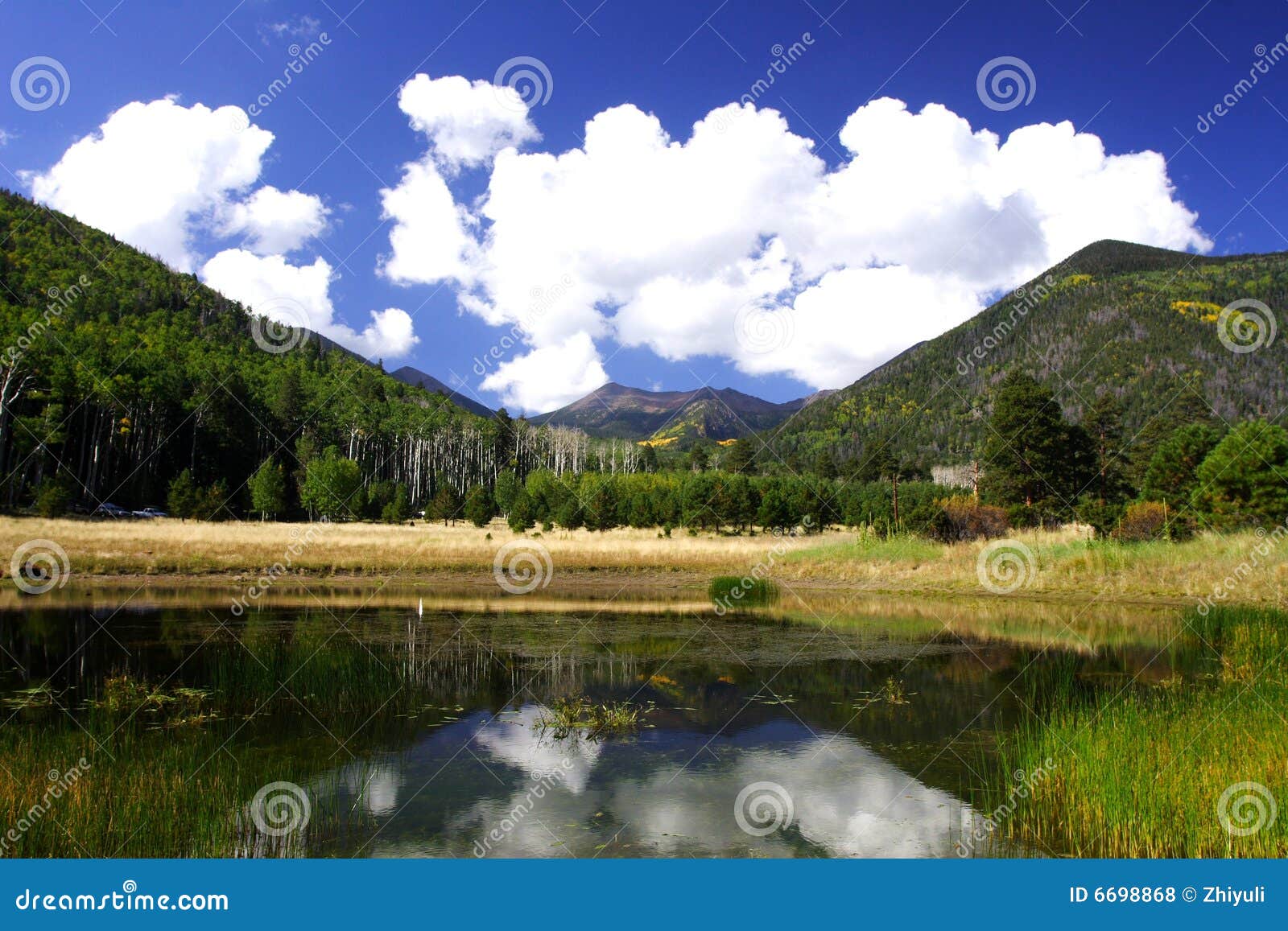 Lockett meadow stock photo. Image of pond, mountain, overview - 6698868