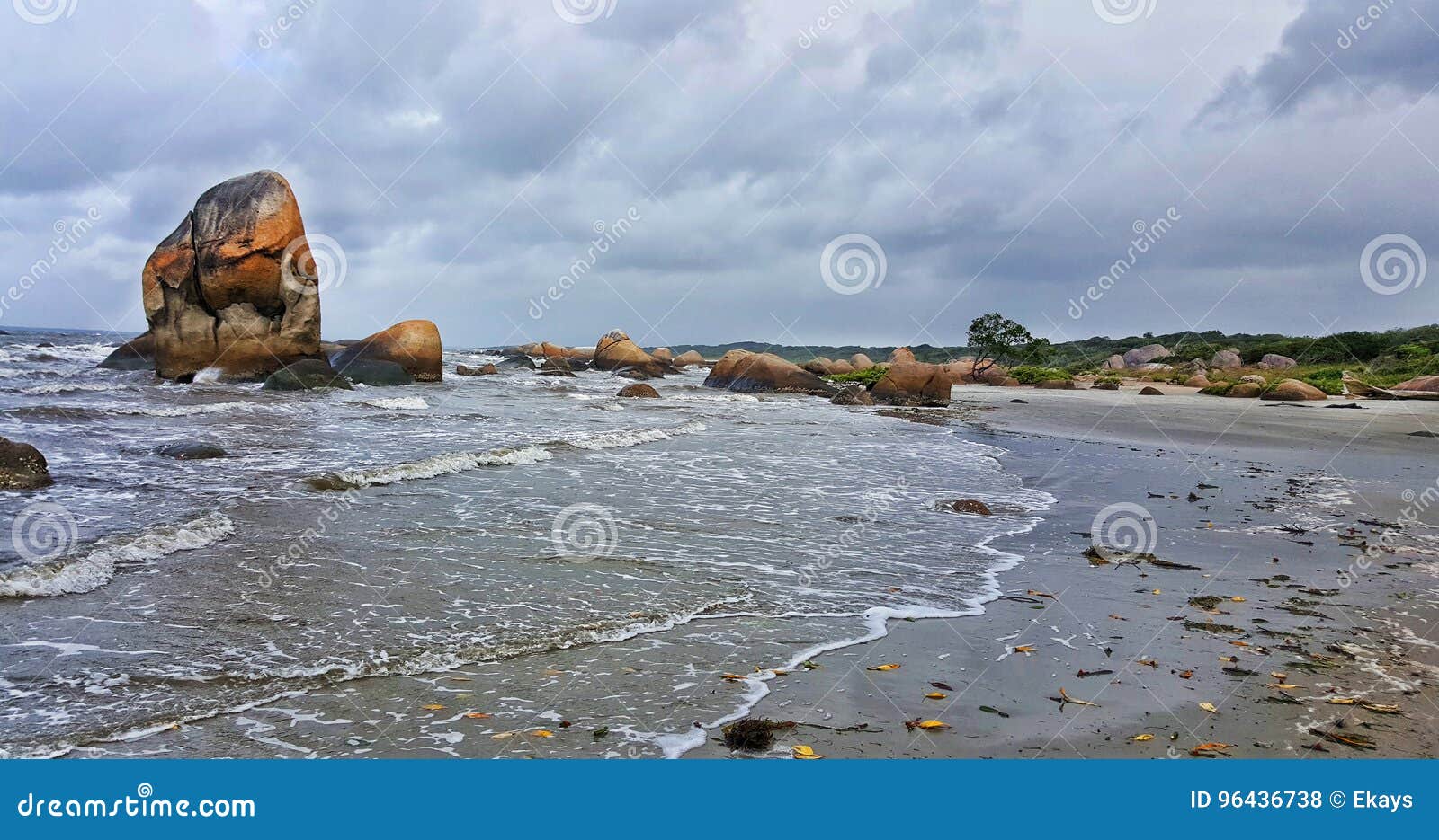 Lockhart - Quintel Beach stock photo. Image of york, australia - 96436738