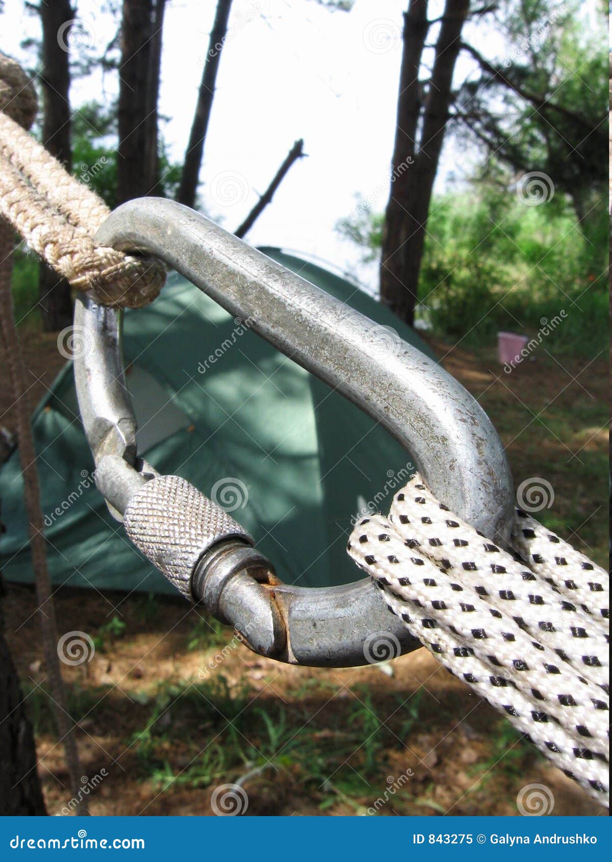Locking carabiner on ropes stock image. Image of biner - 843275