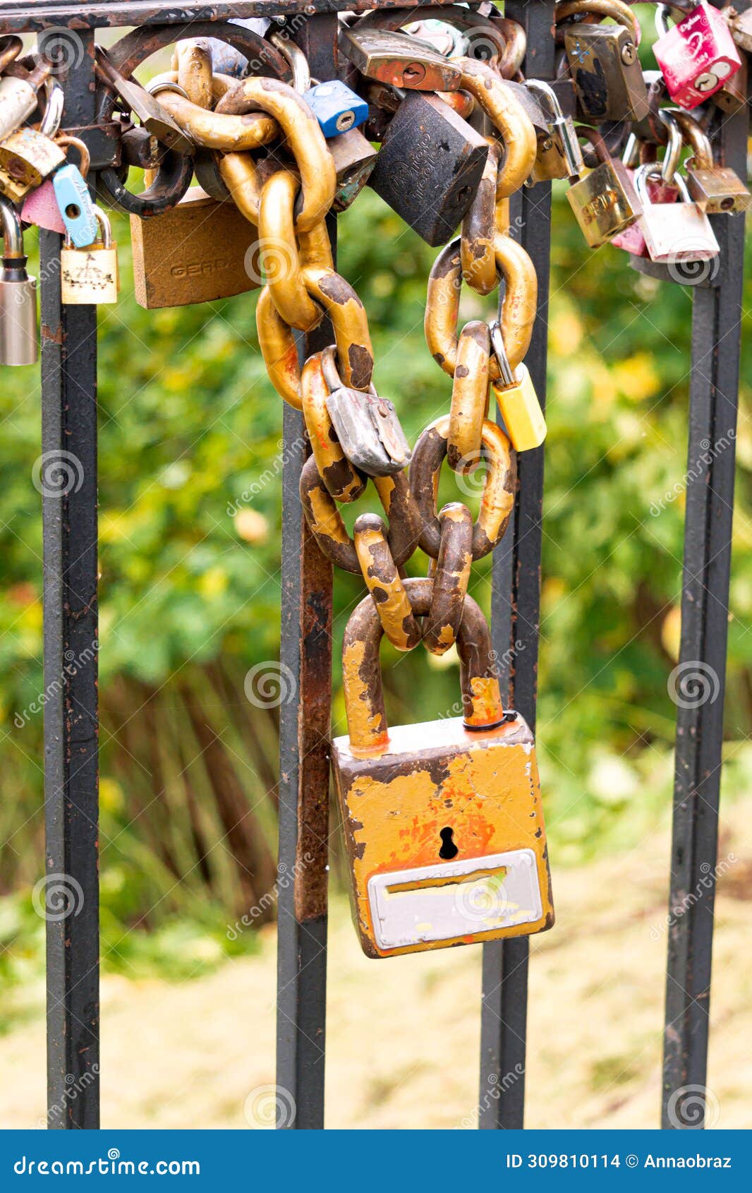Locks on the Bridge Railings after the Wedding Ceremony. Stock Photo ...