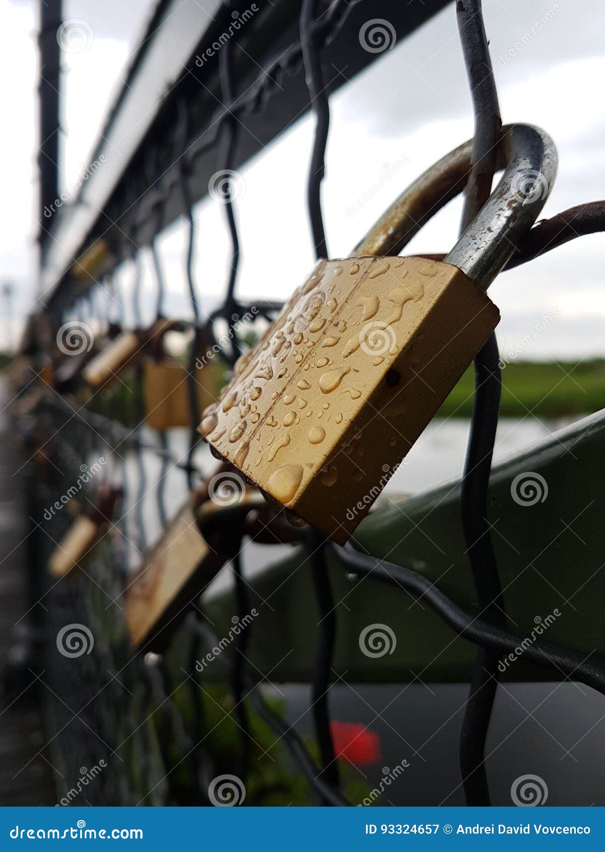 Locks on the bridge stock image. Image of bridge, someones - 93324657