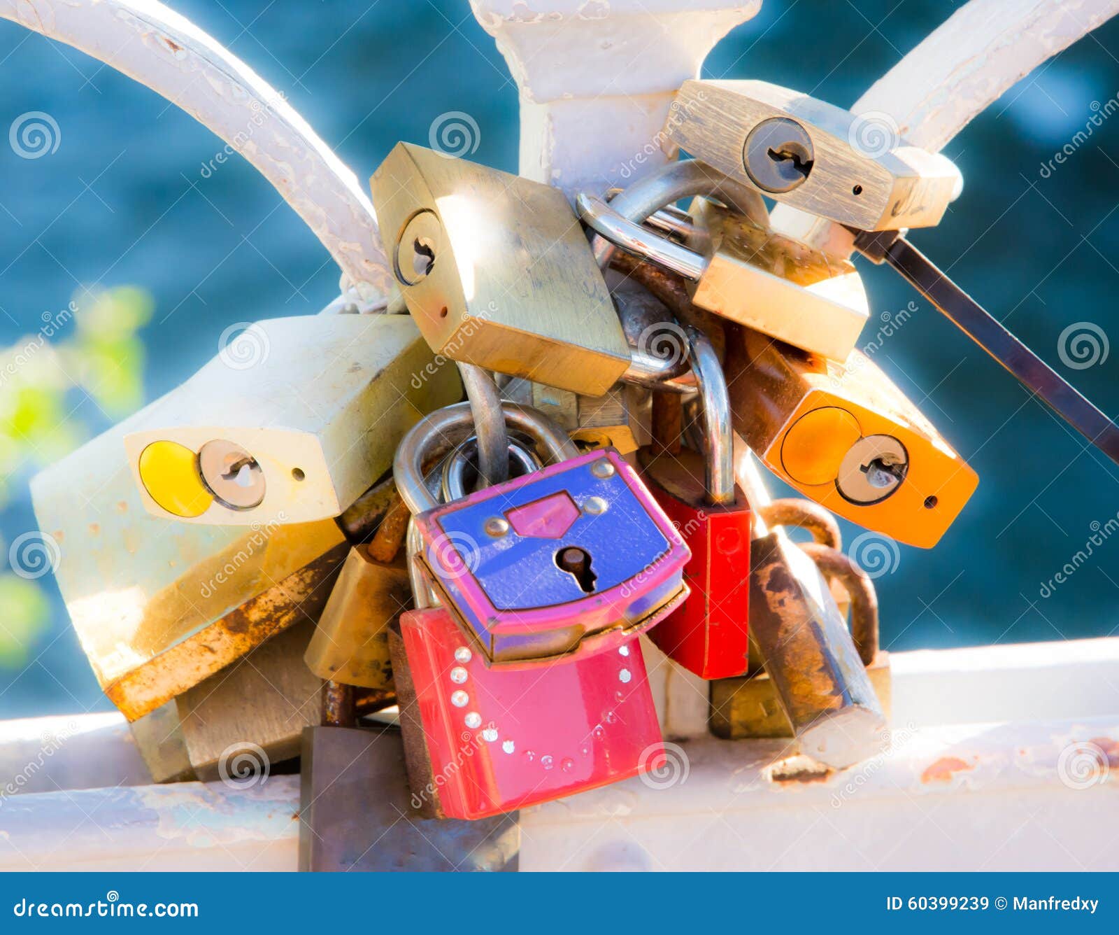 Locks of Love stock image. Image of golden, eternally - 60399239
