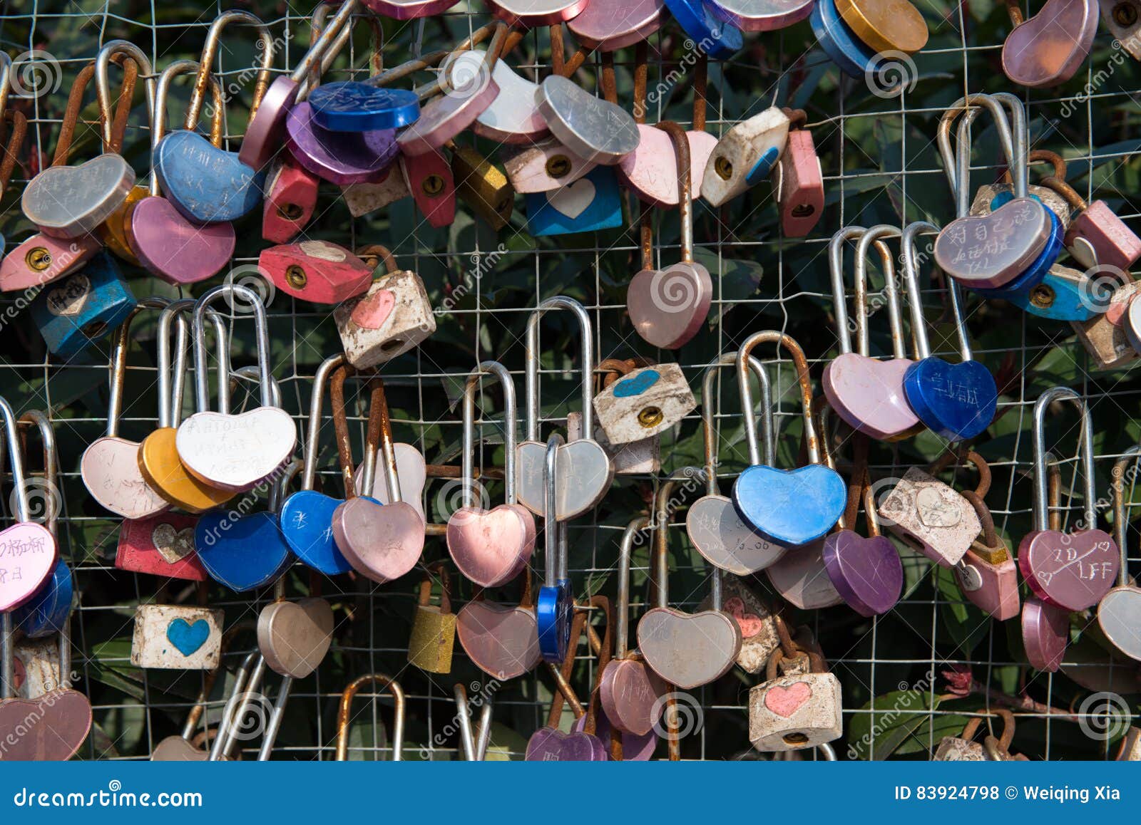 Locks of Love stock photo. Image of closeup, eternal - 83924798