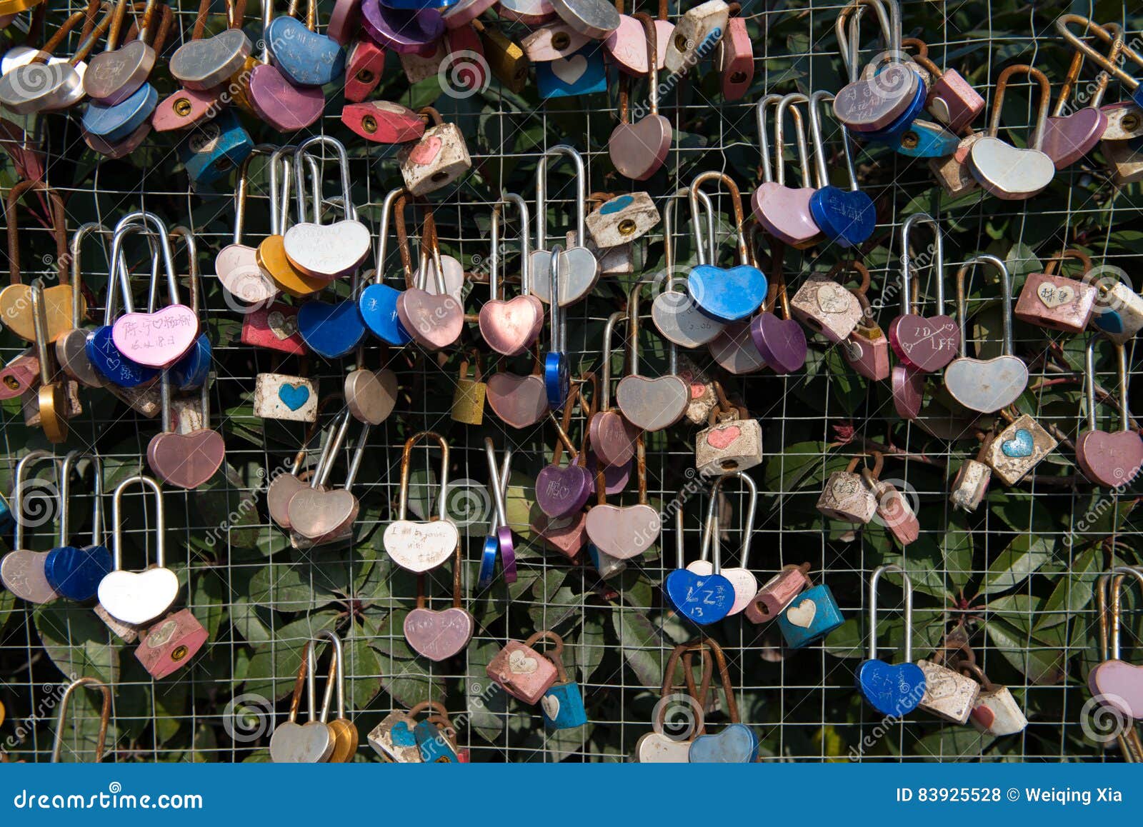 Locks of Love stock photo. Image of hanging, lock, evertraditionalchina ...