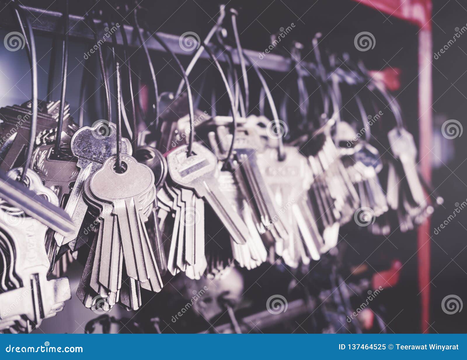 Locksmith Key Shop Business Various Key Chains Stock Image - Image of ...
