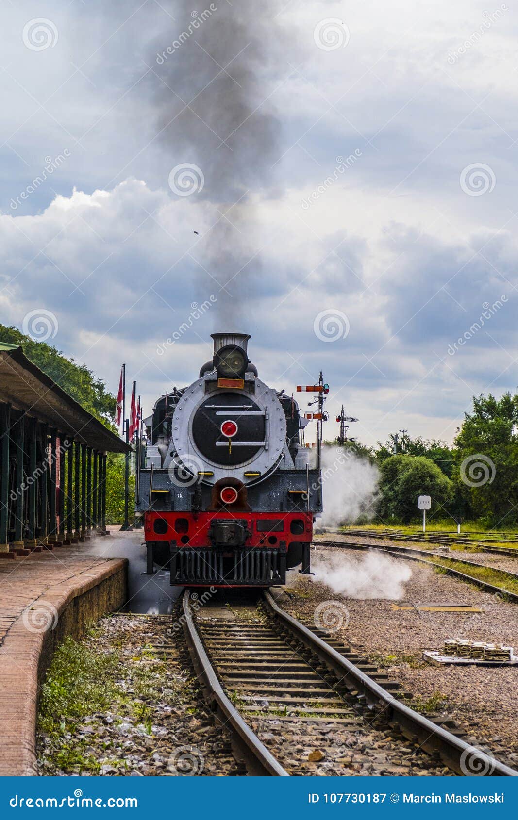 Locomotive Enters the Platform, an Old Steam Train Stock Image - Image ...