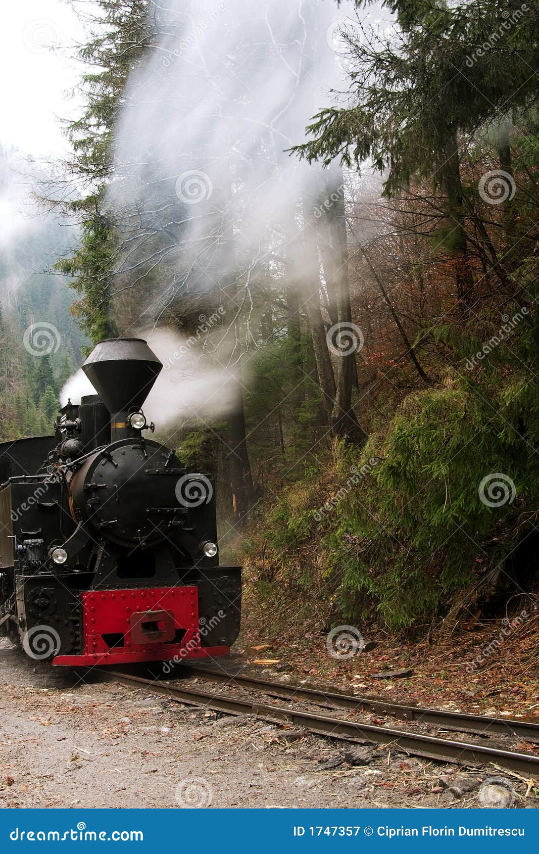 Locomotive in forest stock image. Image of historic, railway - 1747357