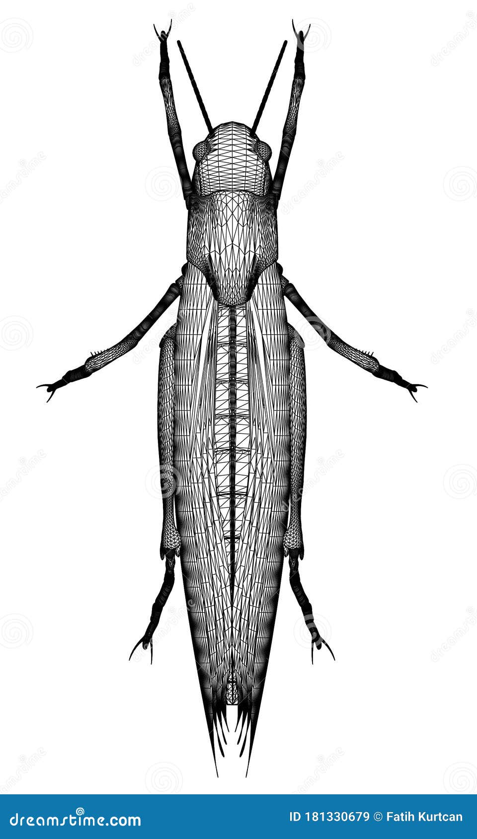 Vector Illustration of a Locust. Stock Illustration - Illustration of ...