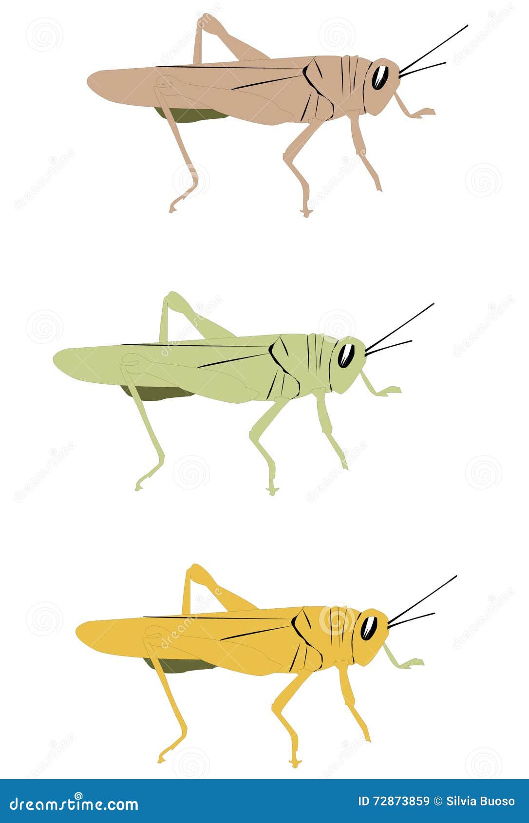 Locust stock vector. Illustration of fresh, design, funny - 72873859