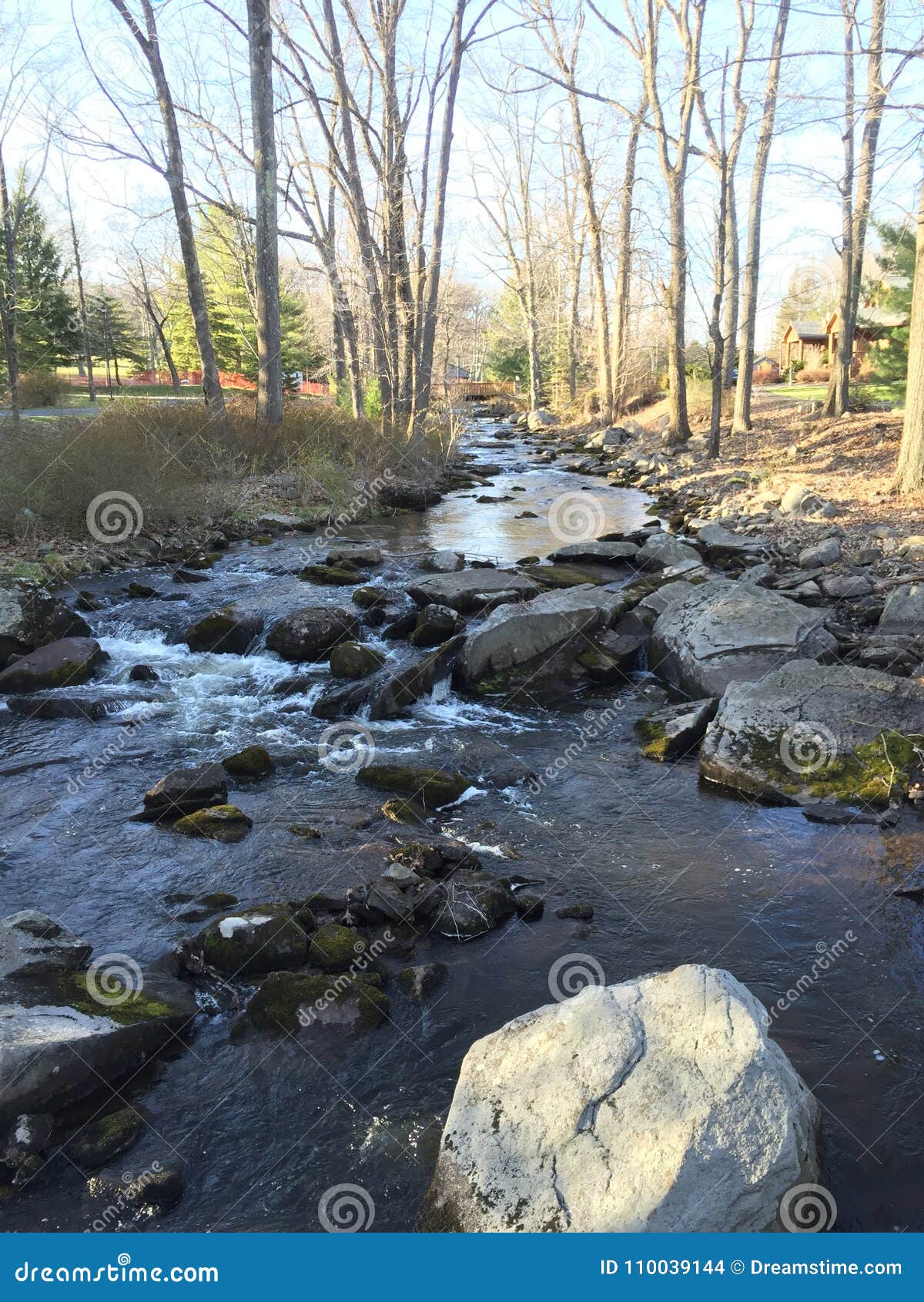 Lodge-side babbling brook stock photo. Image of peaceful - 110039144