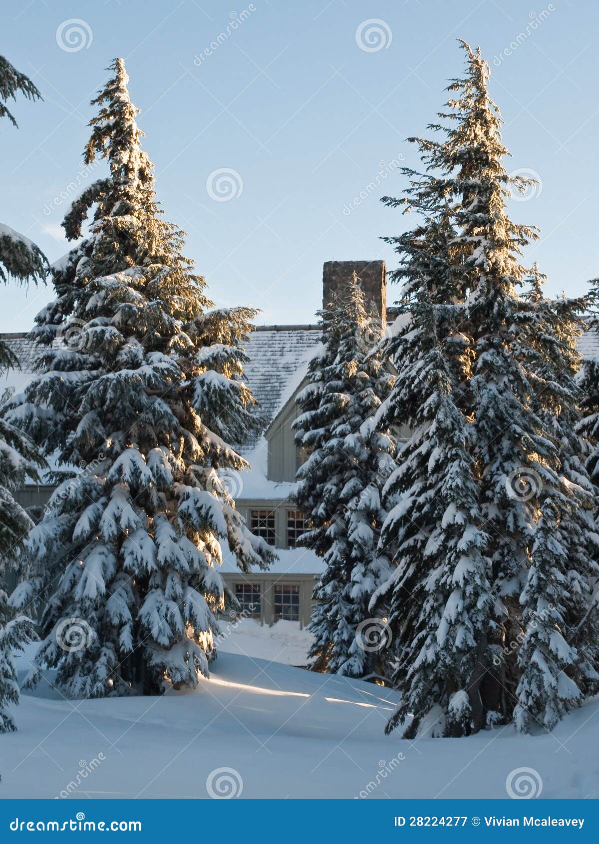 Lodge in the winter stock image. Image of trees, lodge - 28224277