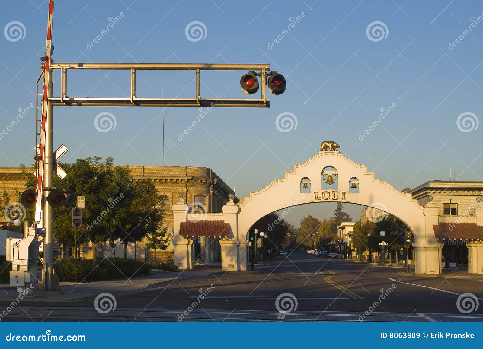 Lodi, California stock image. Image of pine, california - 8063809