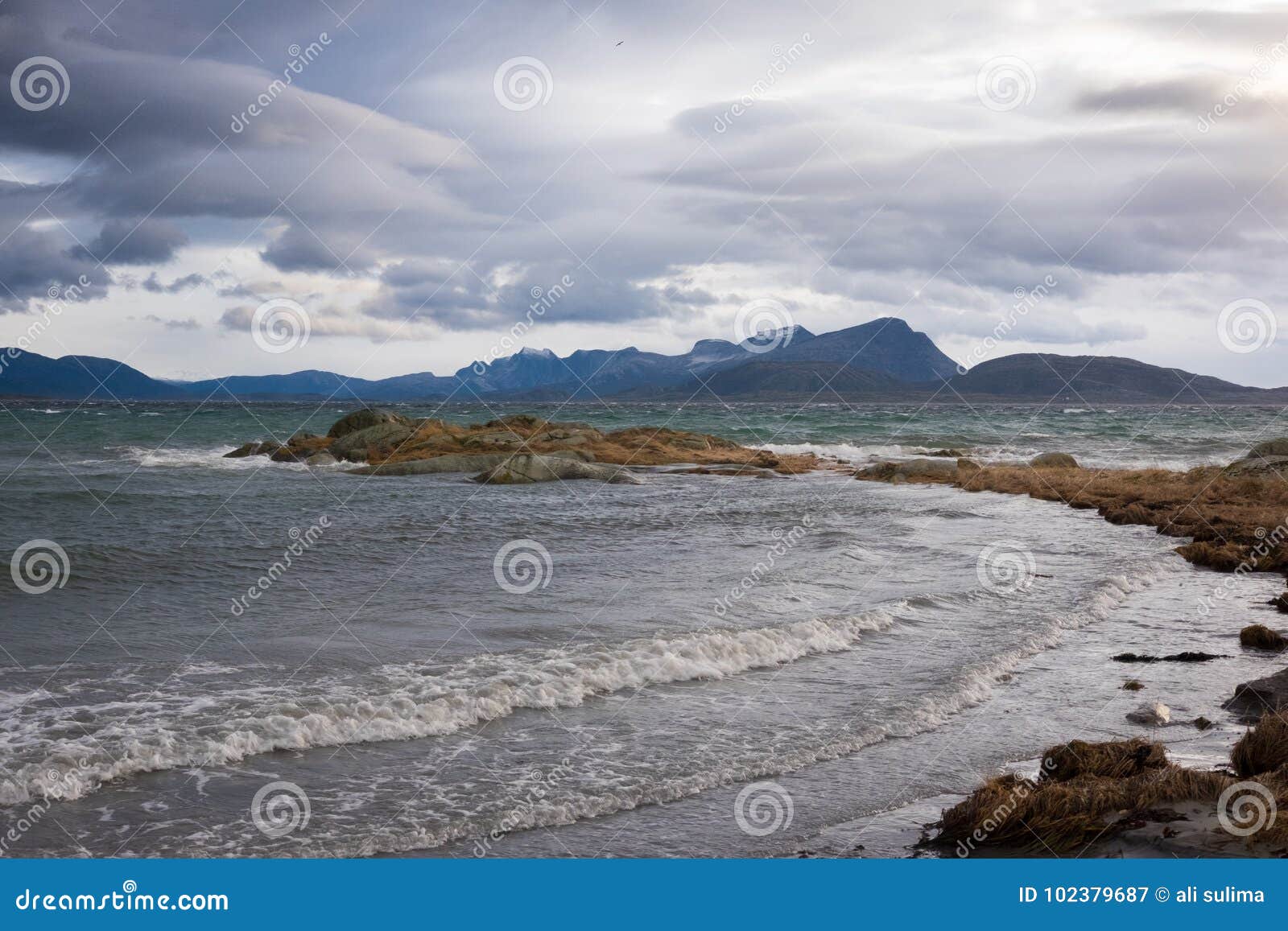 Northern Norway stock image. Image of lodingen, environment - 102379687