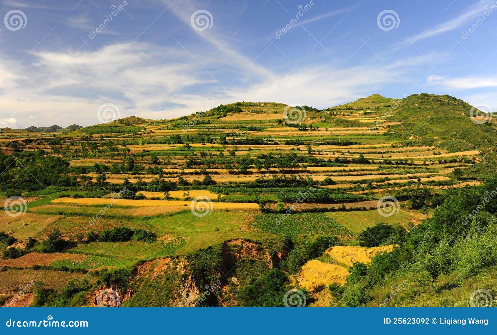 Loess plateau stock photo. Image of agriculture, trees - 25623092
