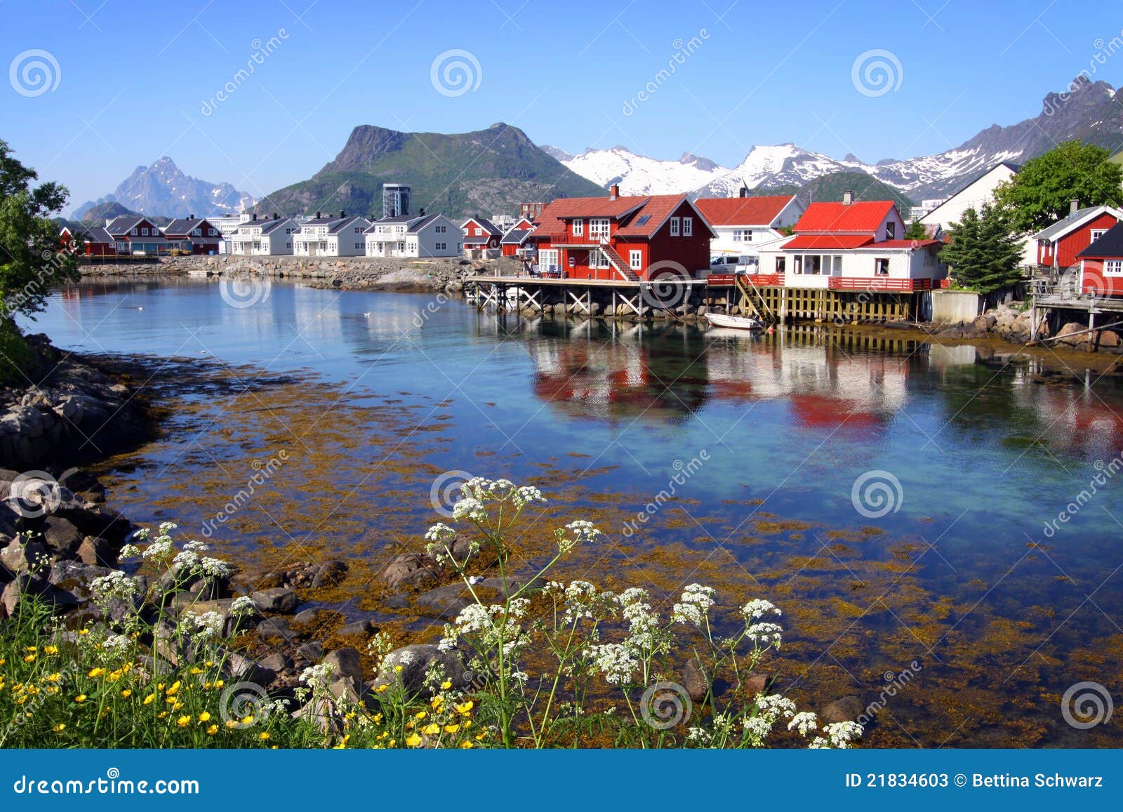 Lofoten Islands Horseid Beach Sea And Mountains Stock Image ...