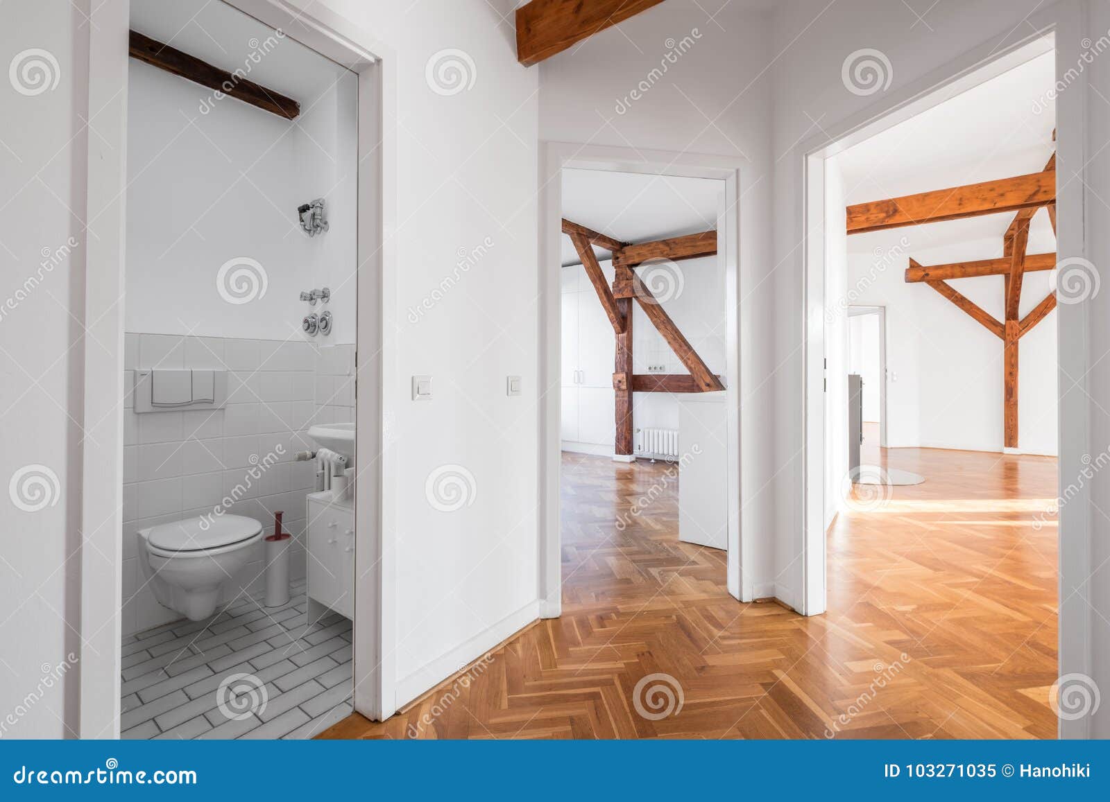 Loft Apartment after Renovation - Empty Flat Hallway Stock Image ...