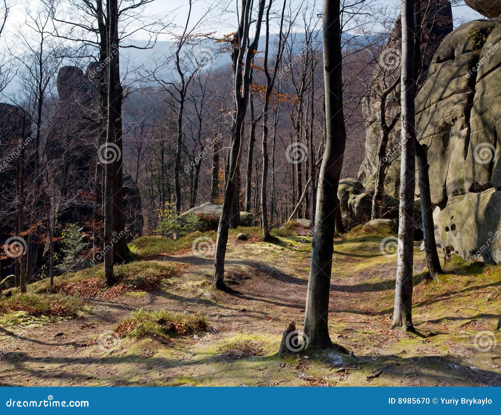 Lofty stones in forest stock photo. Image of hill, lofty - 8985670