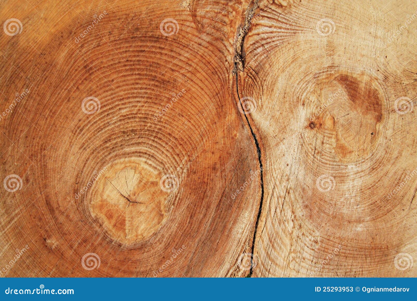 Log stock image. Image of wood, centered, pair, nature - 25293953