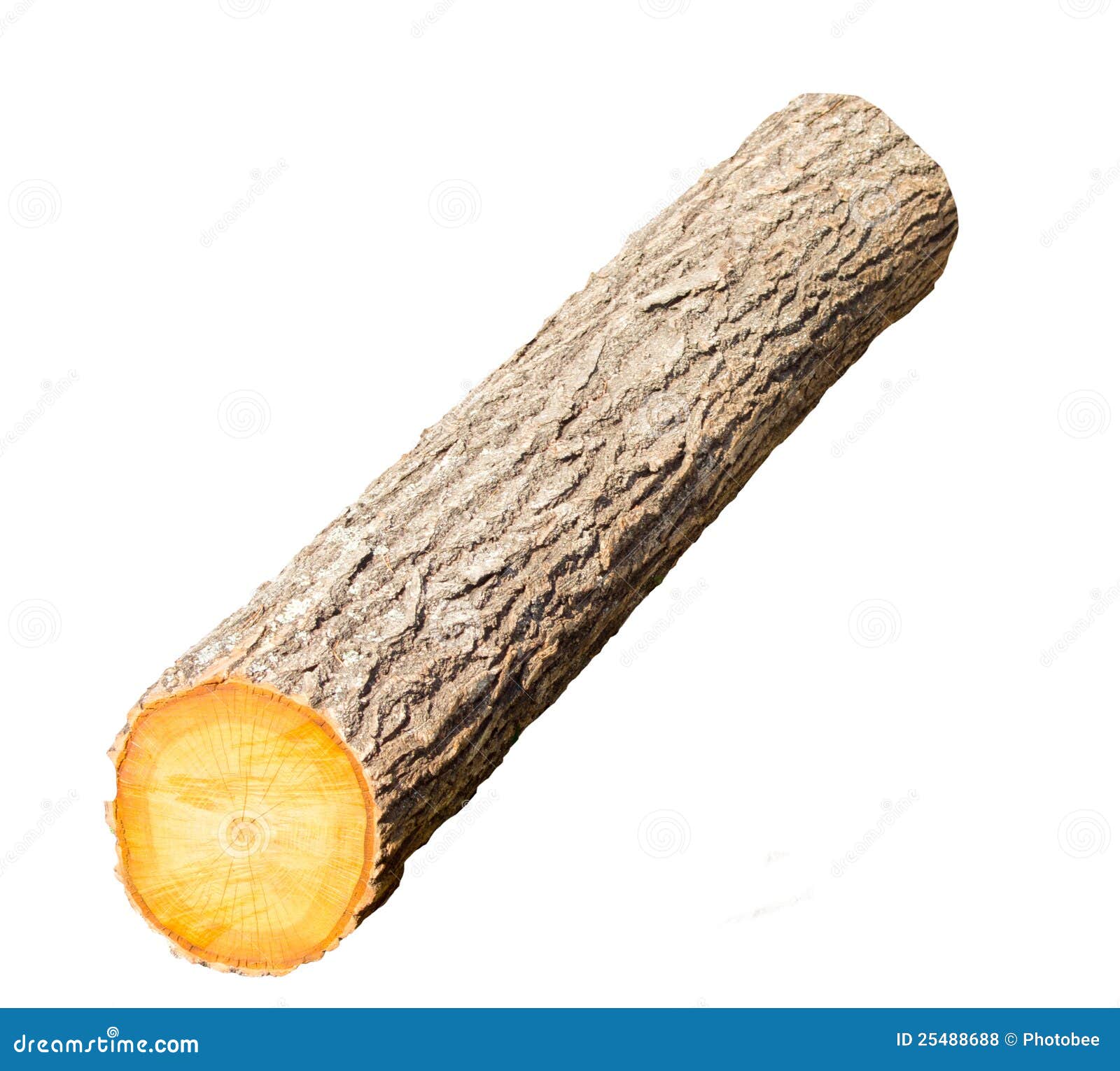 Log stock photo. Image of rural, slice, background, pattern - 25488688