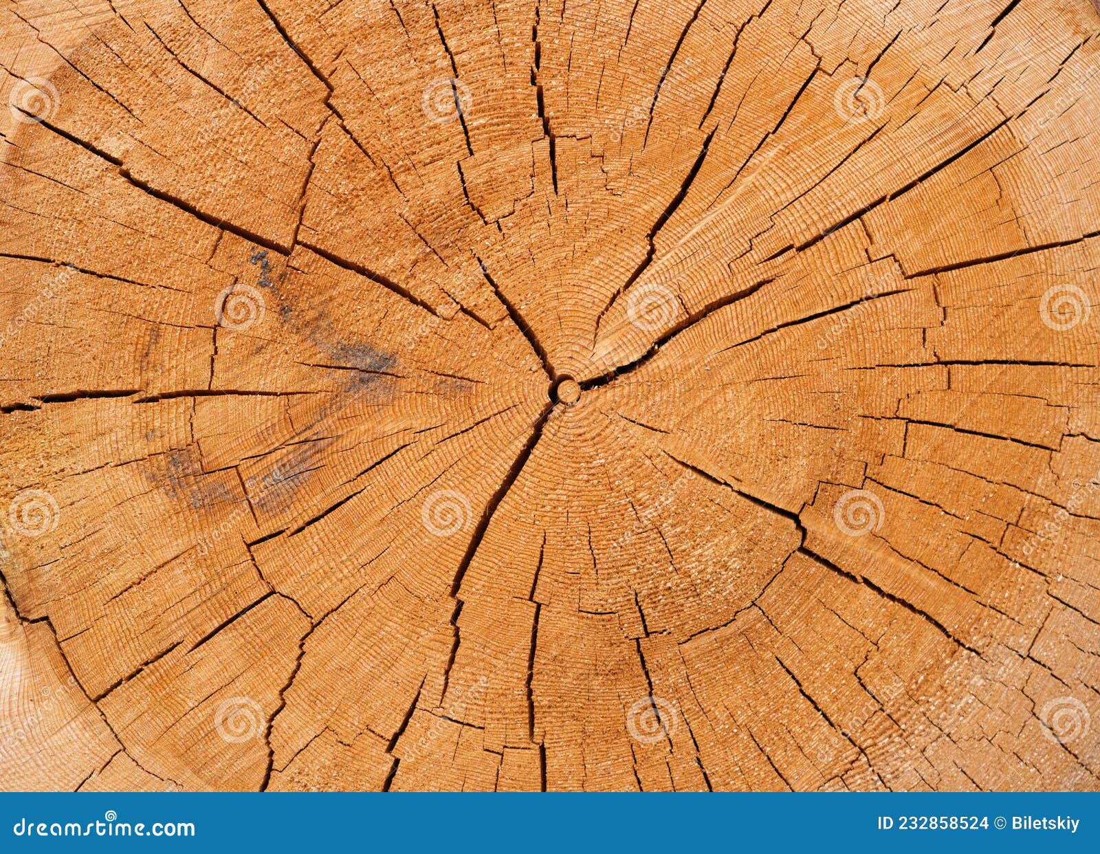 Log As a Background. Texture of Natural Wood Stock Photo - Image of ...