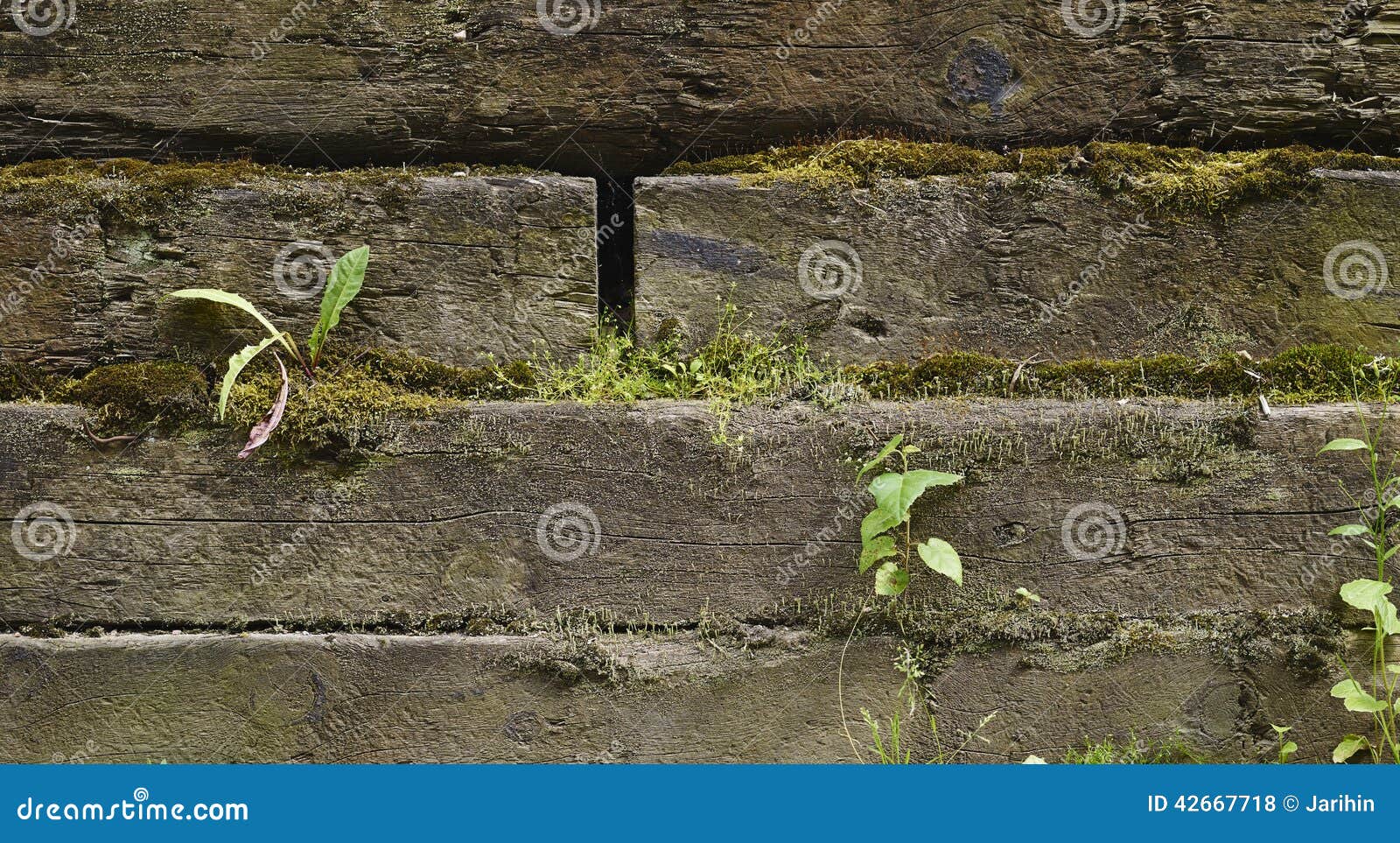 Log barrier stock photo. Image of wood, pattern, built - 42667718