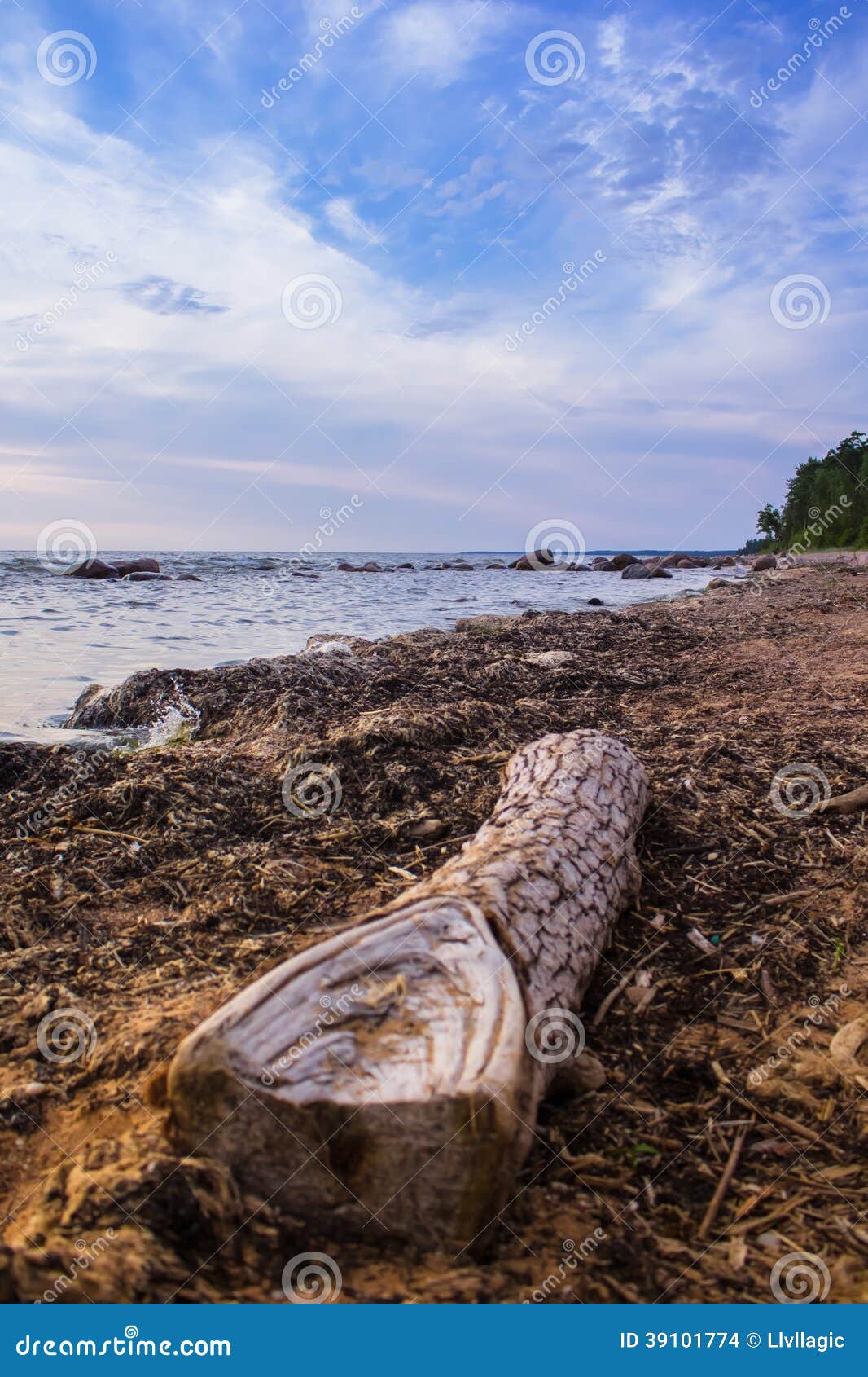 Log on the beach stock photo. Image of sand, blue, cloud - 39101774