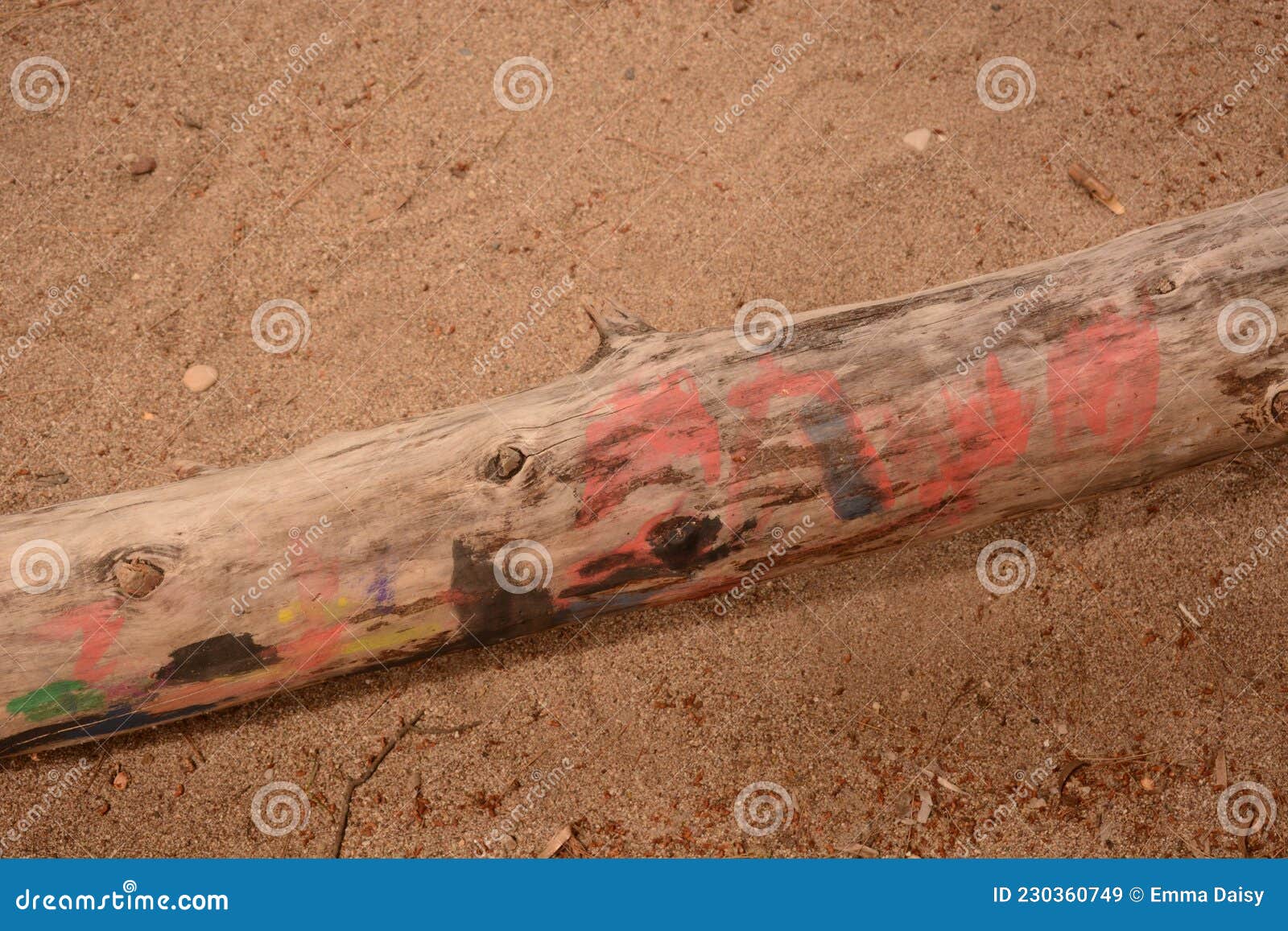A log on the beach stock image. Image of sand, soil - 230360749