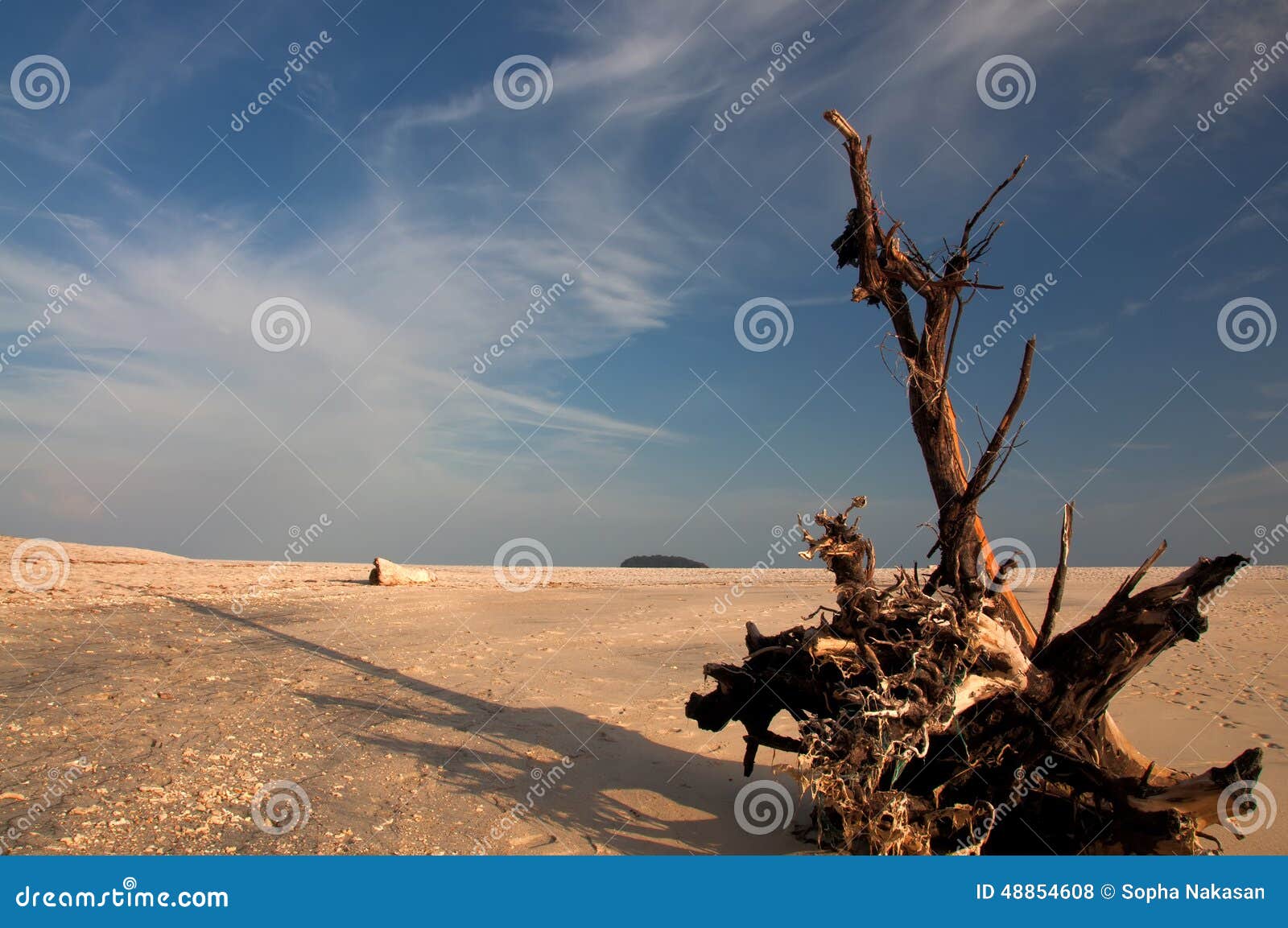 Log on the beach stock photo. Image of thailand, green - 48854608