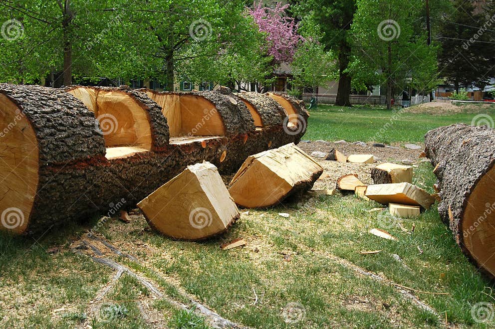 Log Bench stock photo. Image of seat, arean, fallen, outdoors - 816330